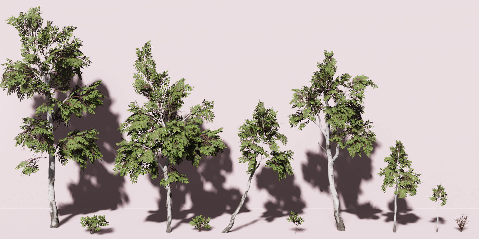 Stylized Birch Trees Pack - 3D Model by seriouscat