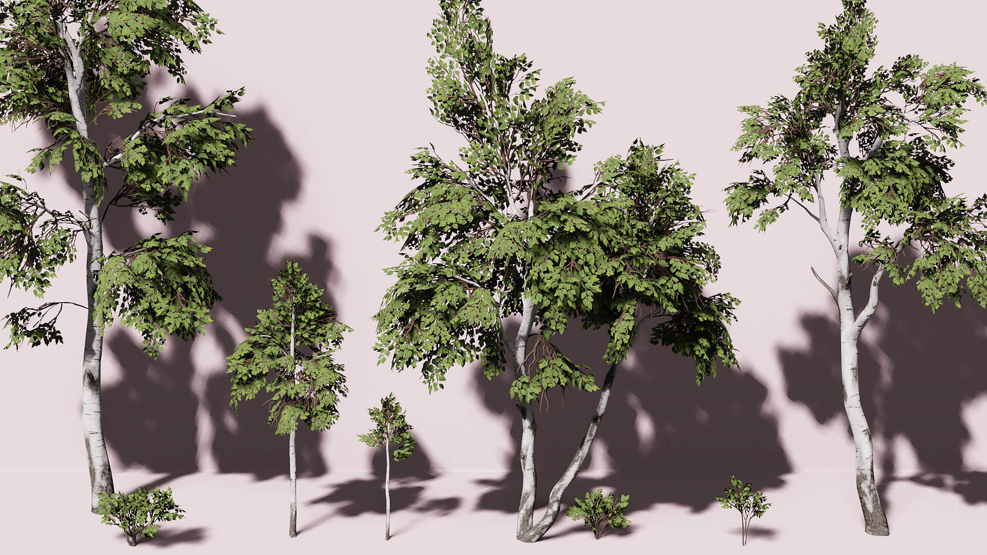 Stylized Birch Trees Pack - 3D Model by seriouscat