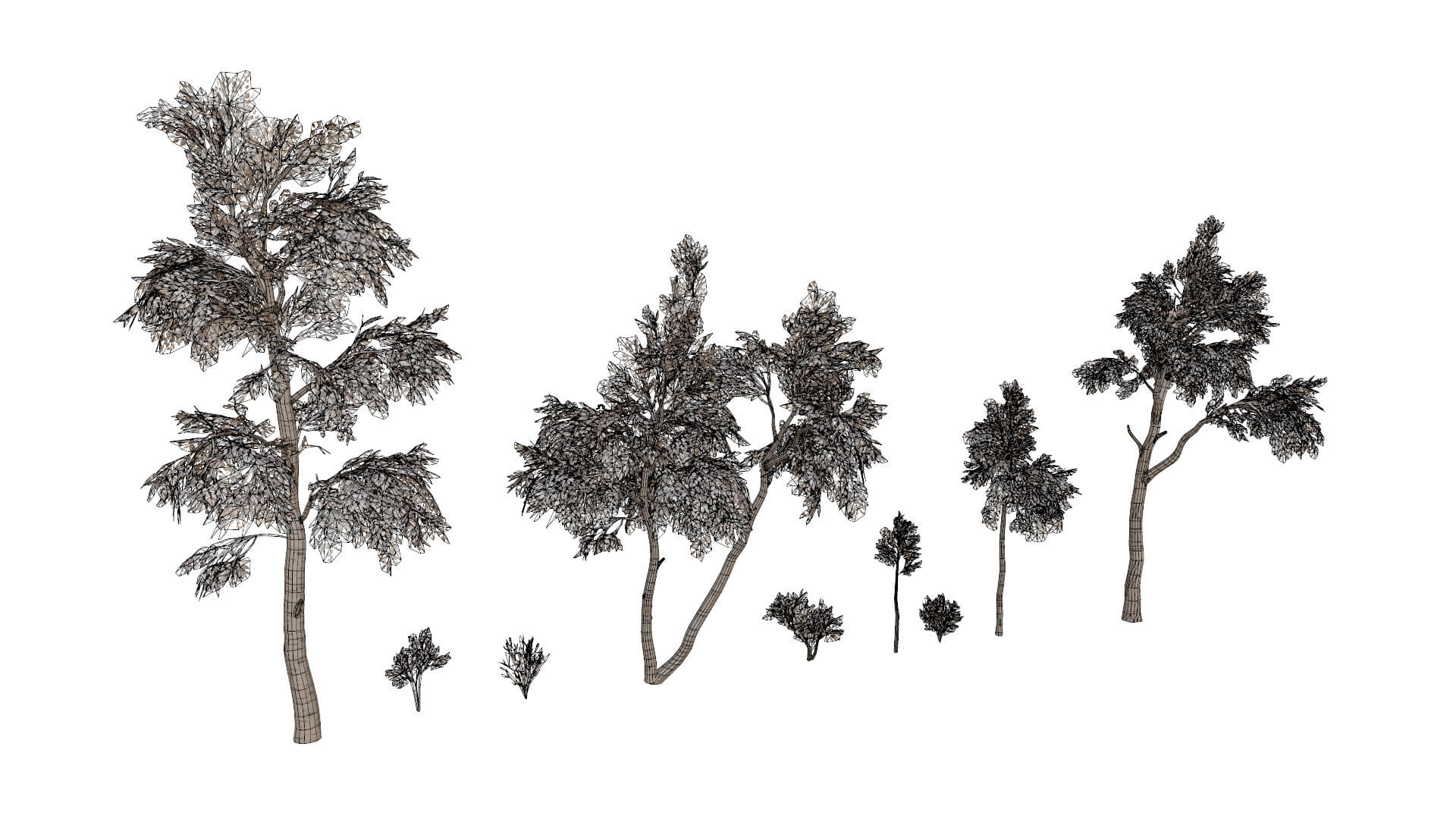 Stylized Birch Trees Pack - 3D Model by seriouscat