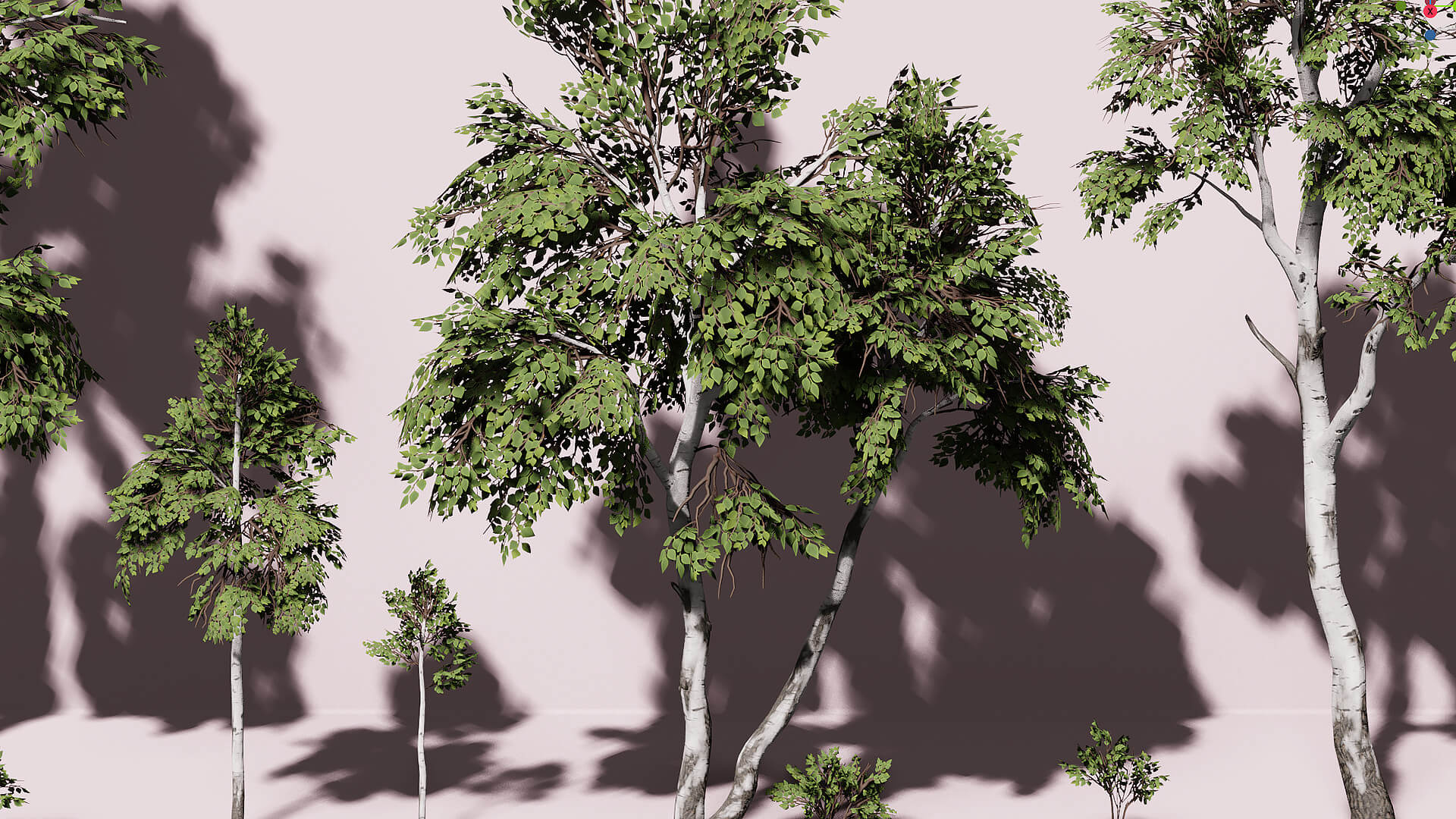 Stylized Birch Trees Pack - 3D Model by seriouscat