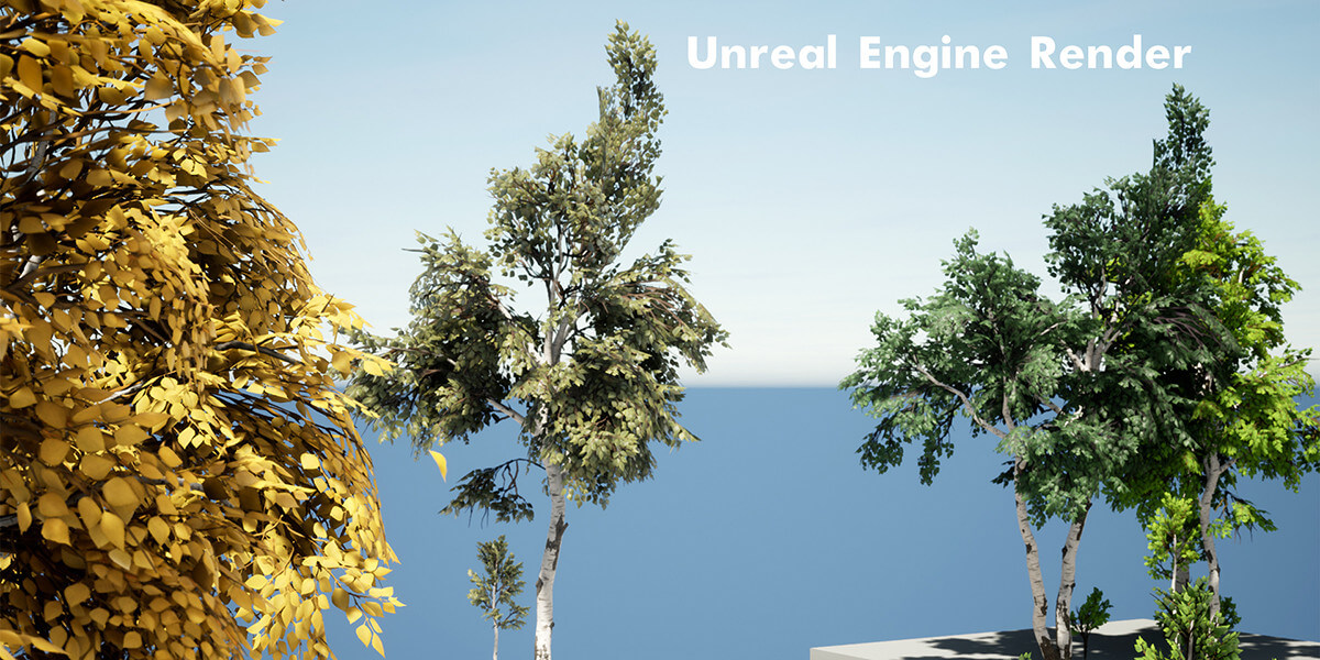 Stylized Birch Trees Pack - 3D Model by seriouscat