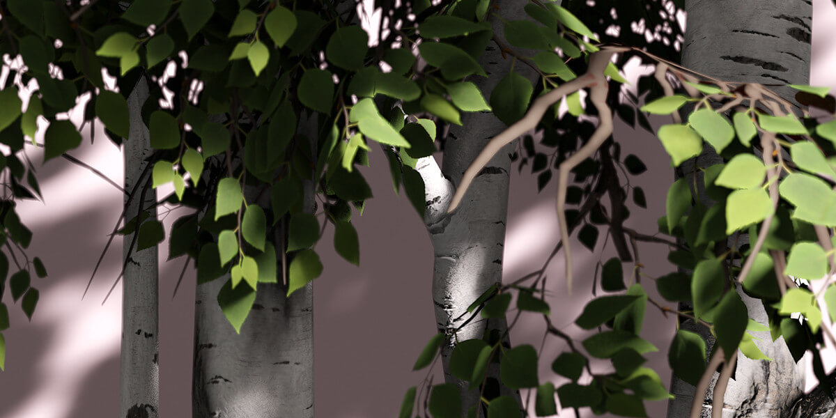 Stylized Birch Trees Pack - 3D Model by seriouscat