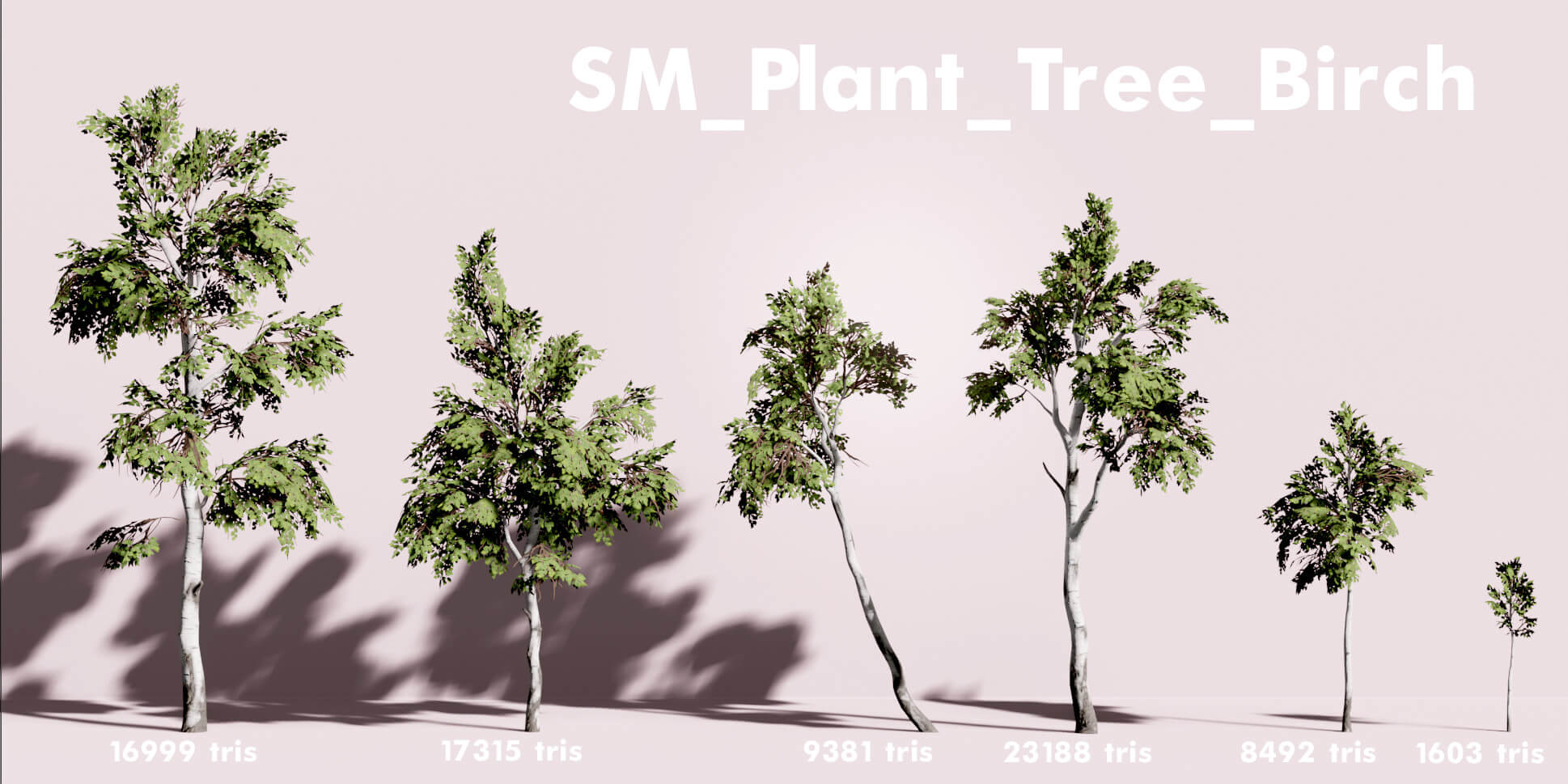 Stylized Birch Trees Pack - 3D Model by seriouscat