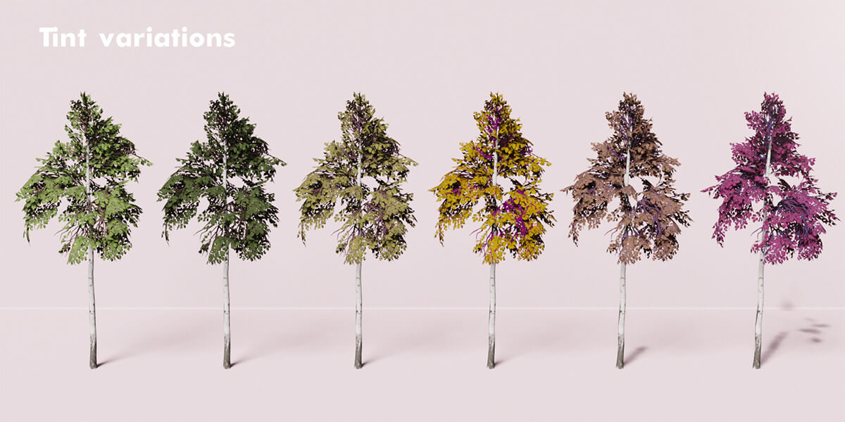 Stylized Birch Trees Pack - 3D Model by seriouscat