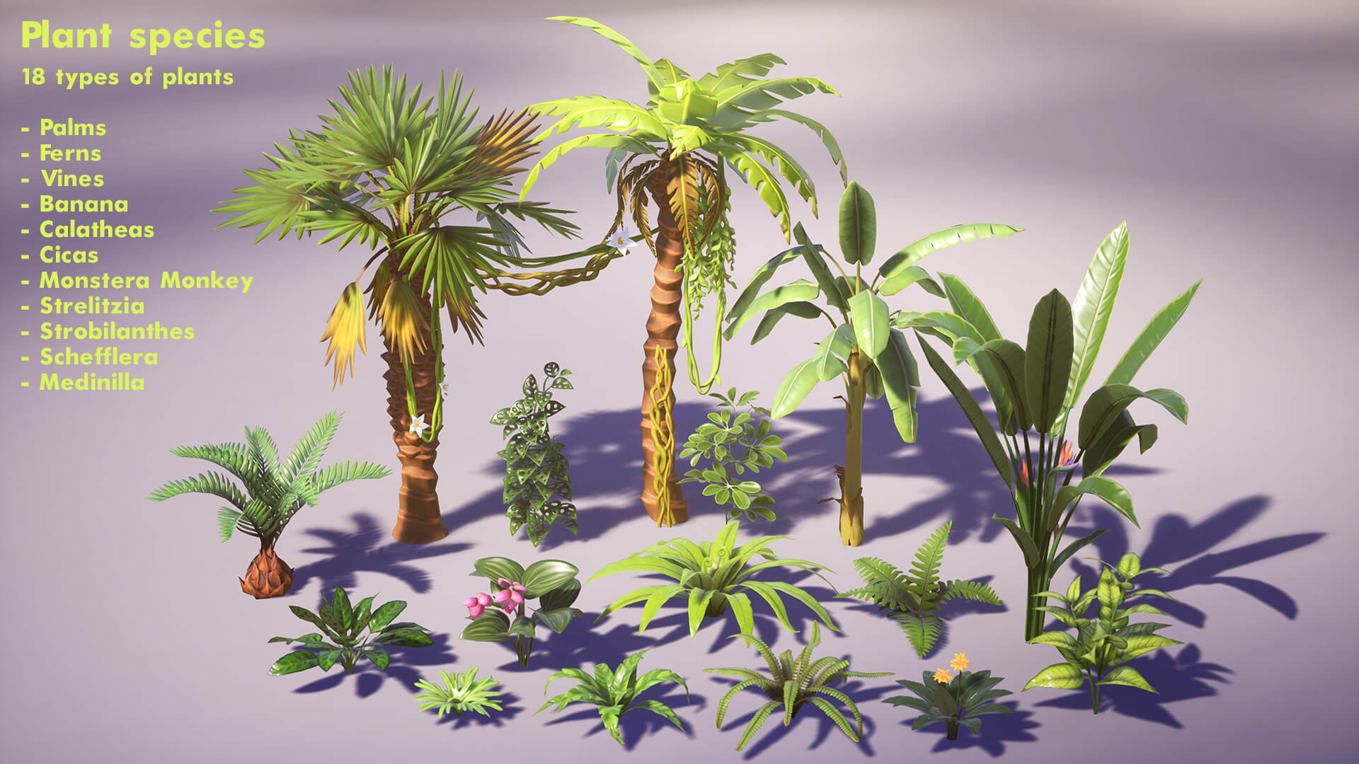 Tropical Plants Pack - 3D Model by seriouscat