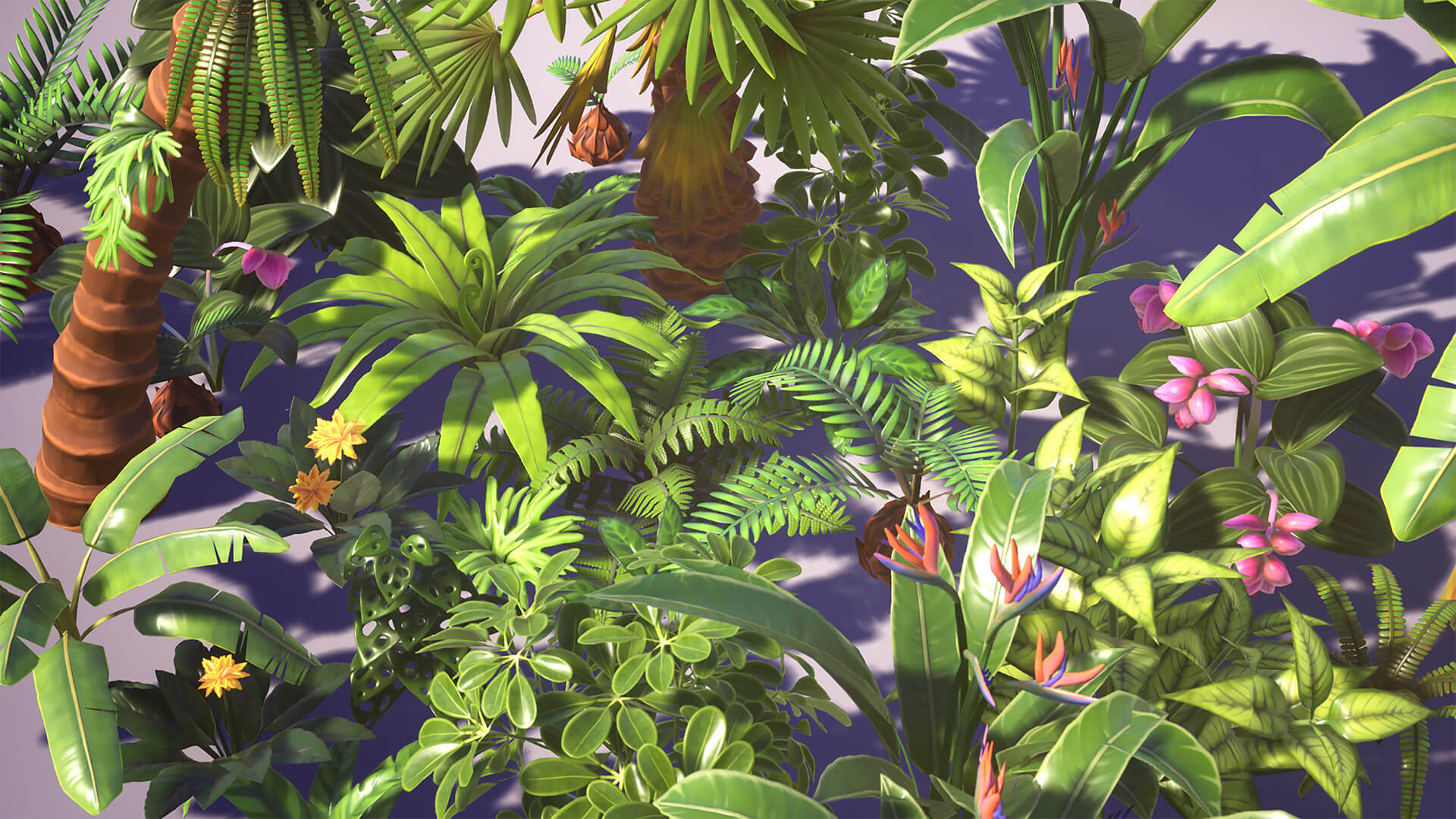 Tropical Plants Pack - 3D Model by seriouscat