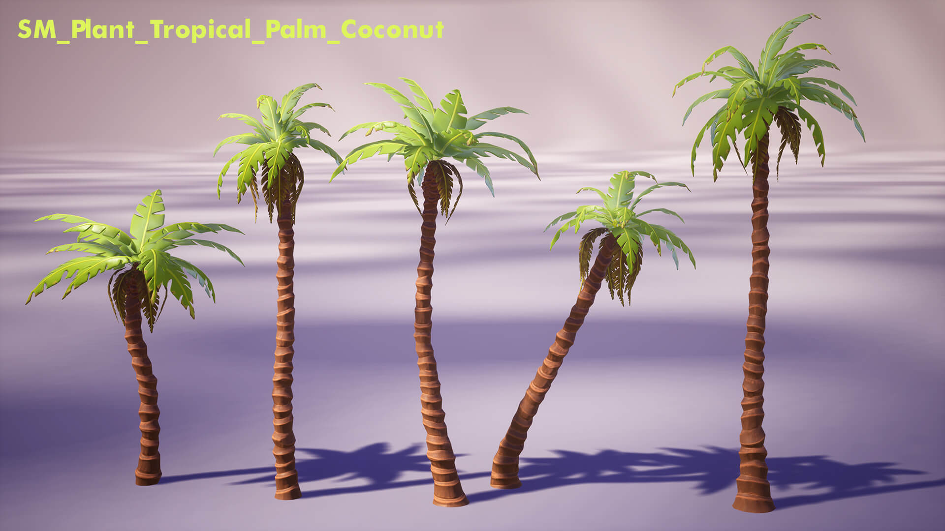 Tropical Plants Pack - 3D Model by seriouscat