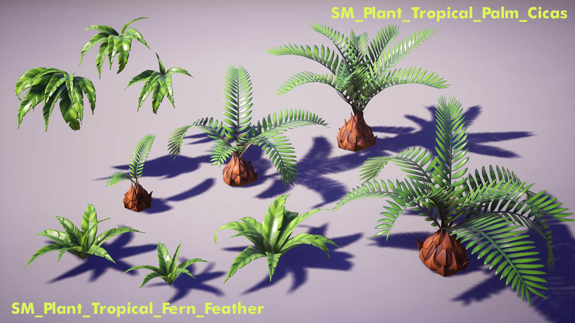 Tropical Plants Pack - 3D Model by seriouscat