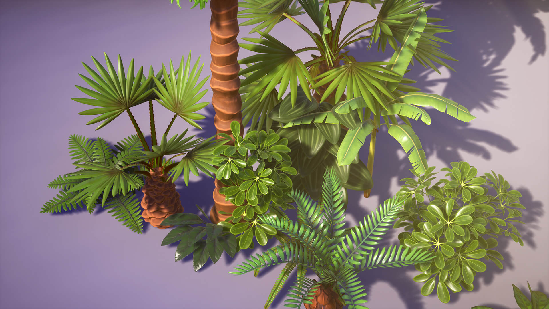 Tropical Plants Pack - 3D Model by seriouscat
