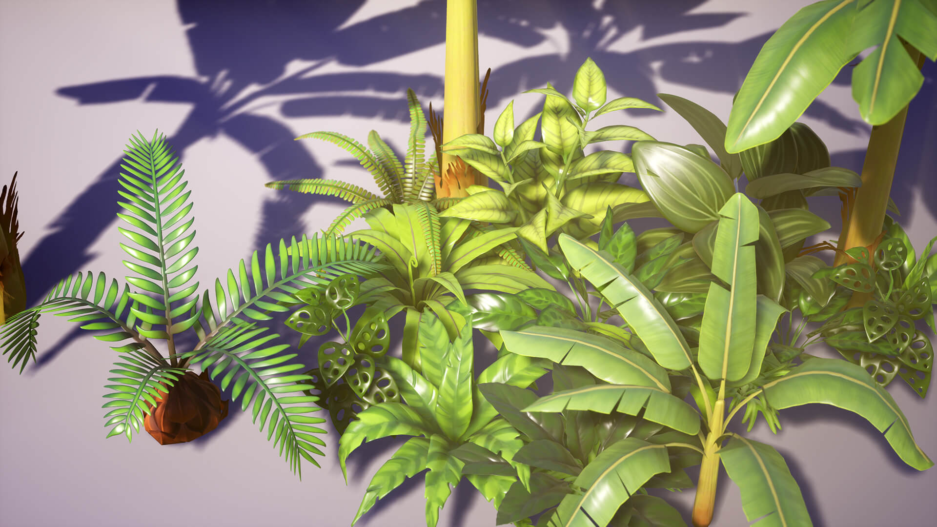Tropical Plants Pack - 3D Model by seriouscat