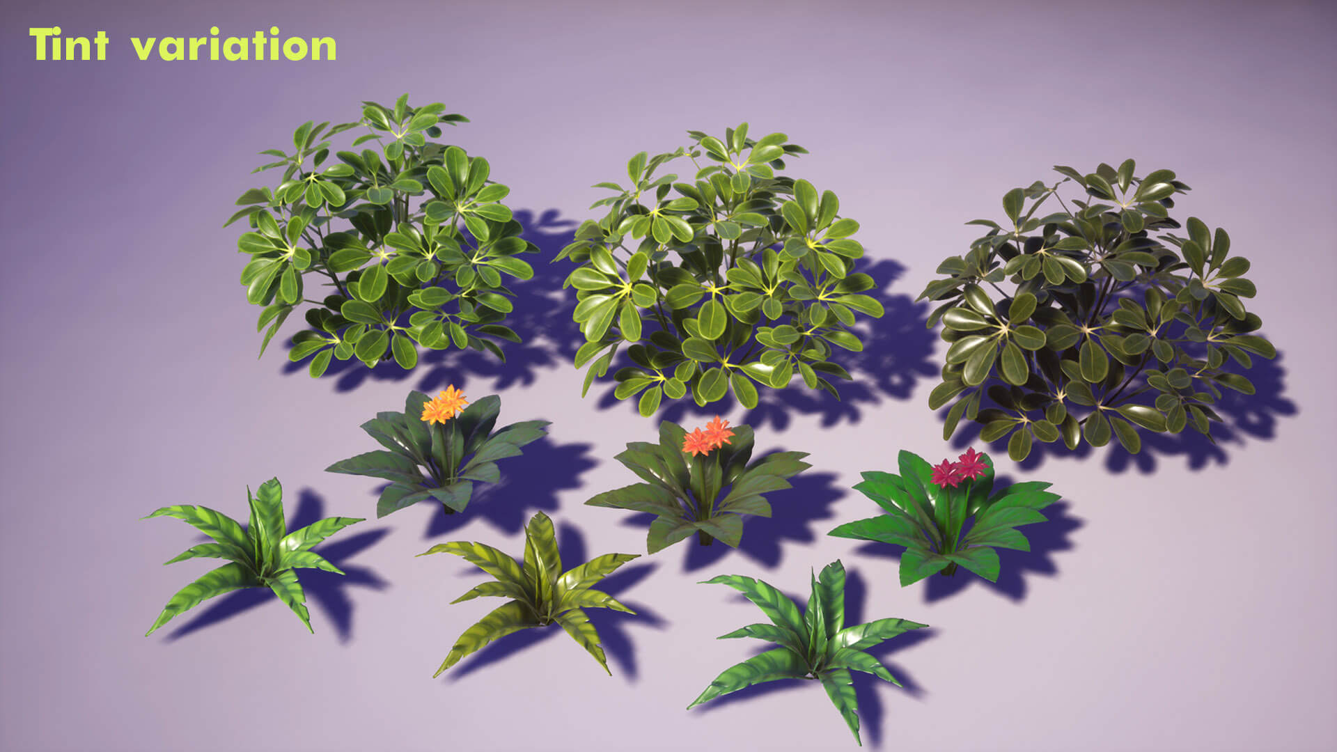 Tropical Plants Pack - 3D Model by seriouscat