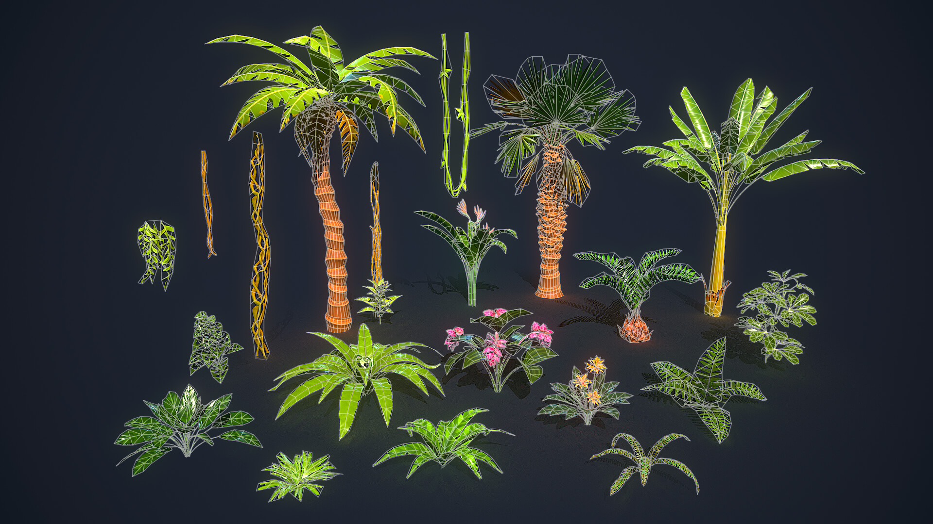 Tropical Plants Pack - 3D Model by seriouscat