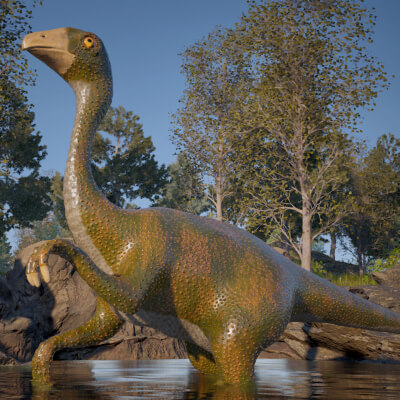 Dinosaur Struthiomimus - 3D Model by Serks