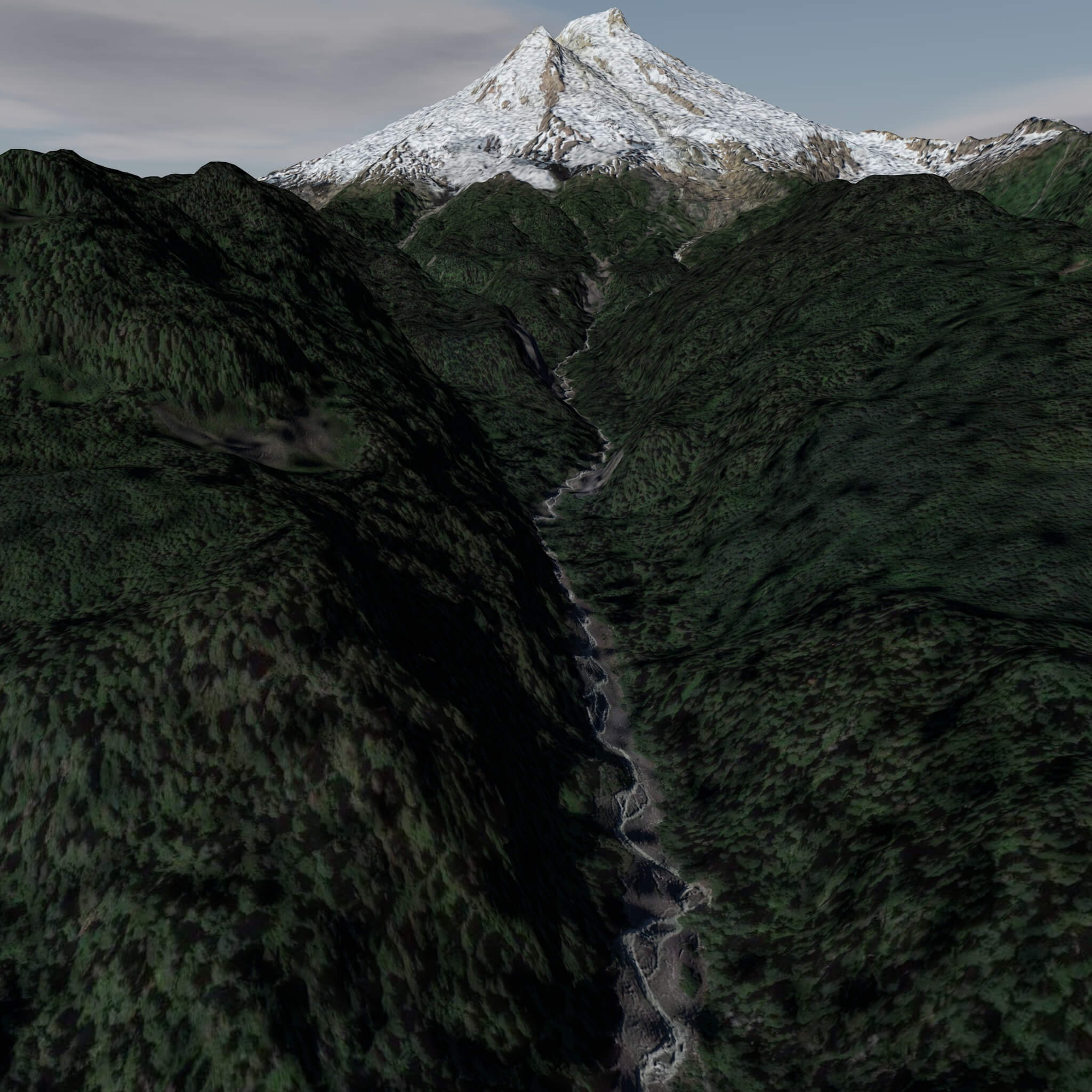 Relief Map of Mount Baker Volcano, Washington - 3D Model by Serks