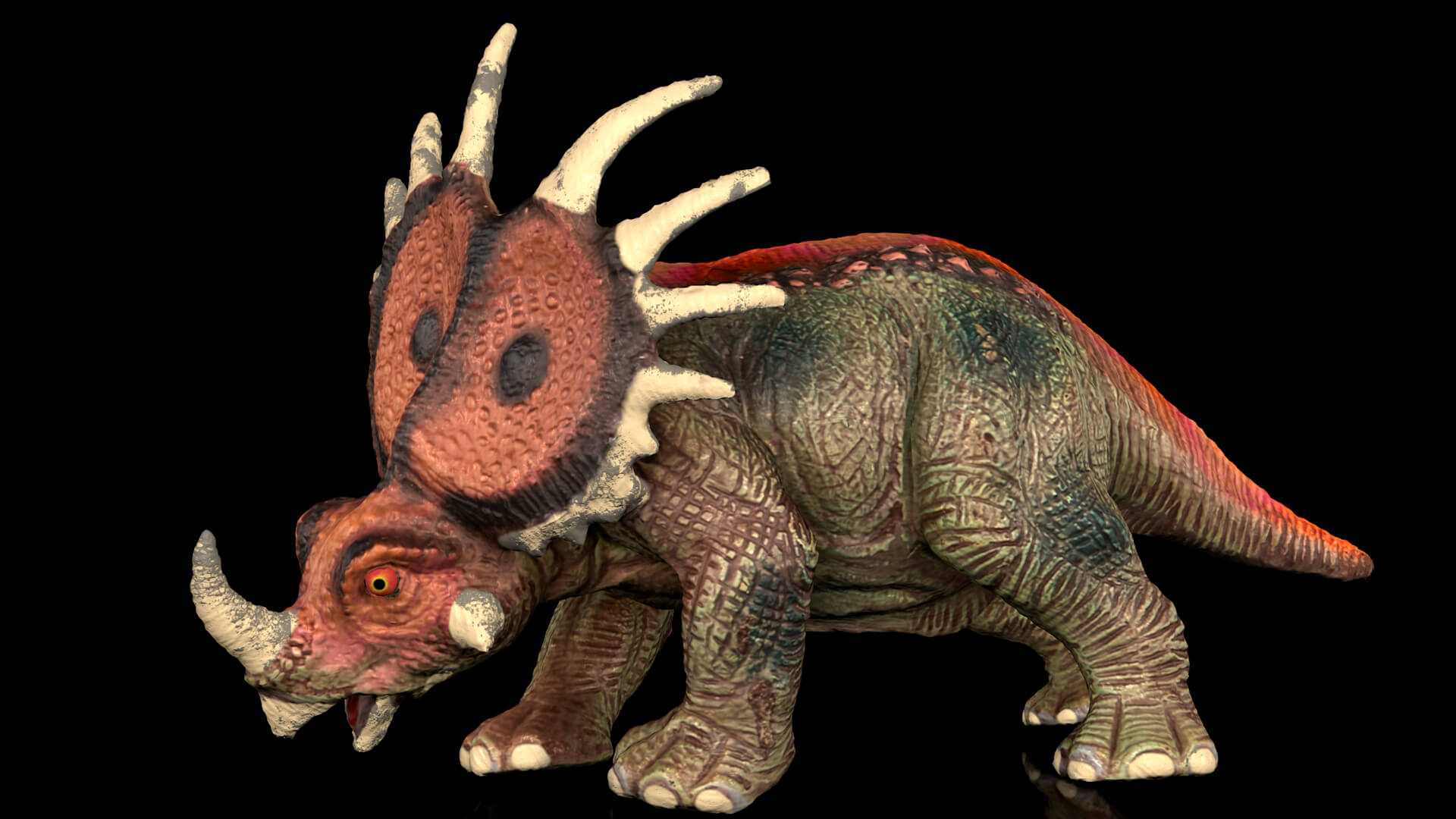 Styracosaurus Spiny Lizard - 3D Model by Serks