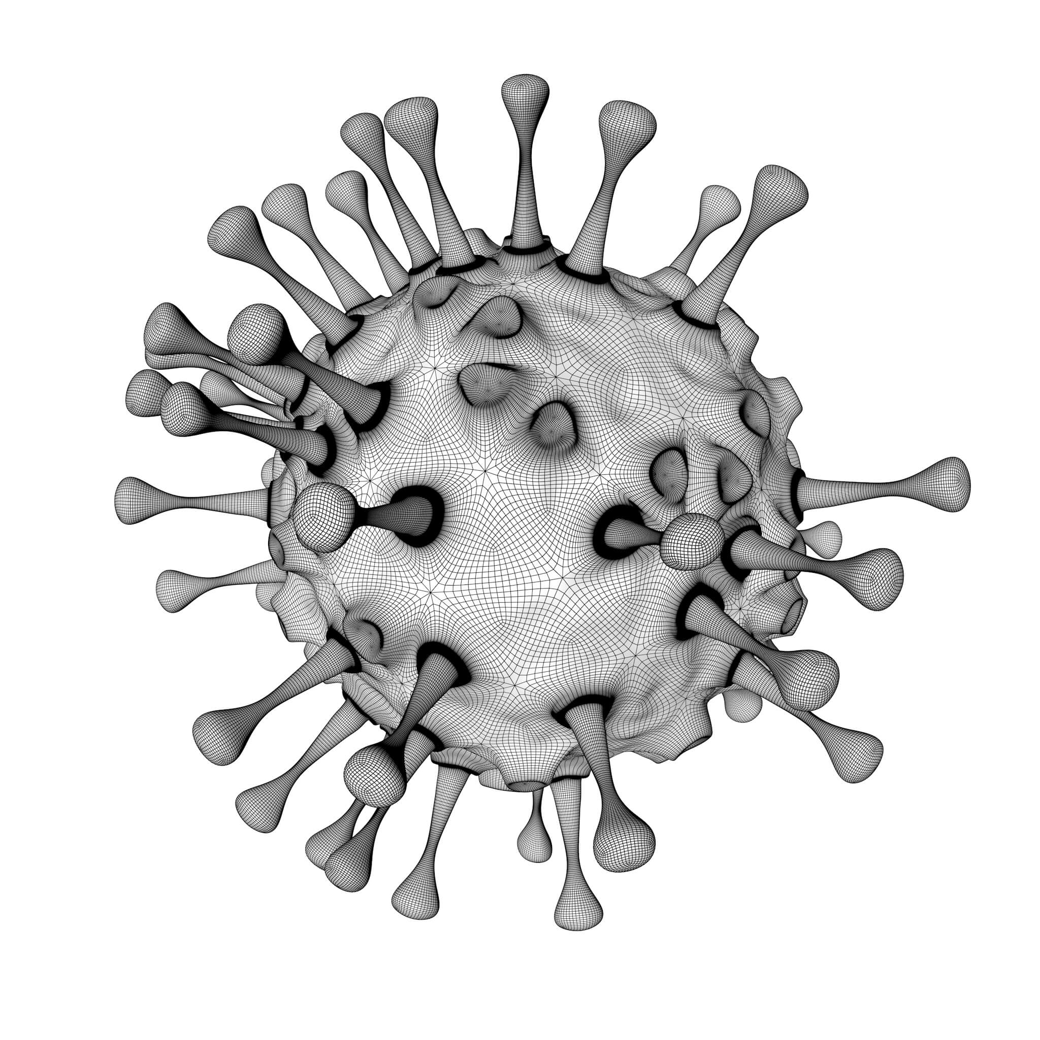 High polygonal model of the virus by Serks
