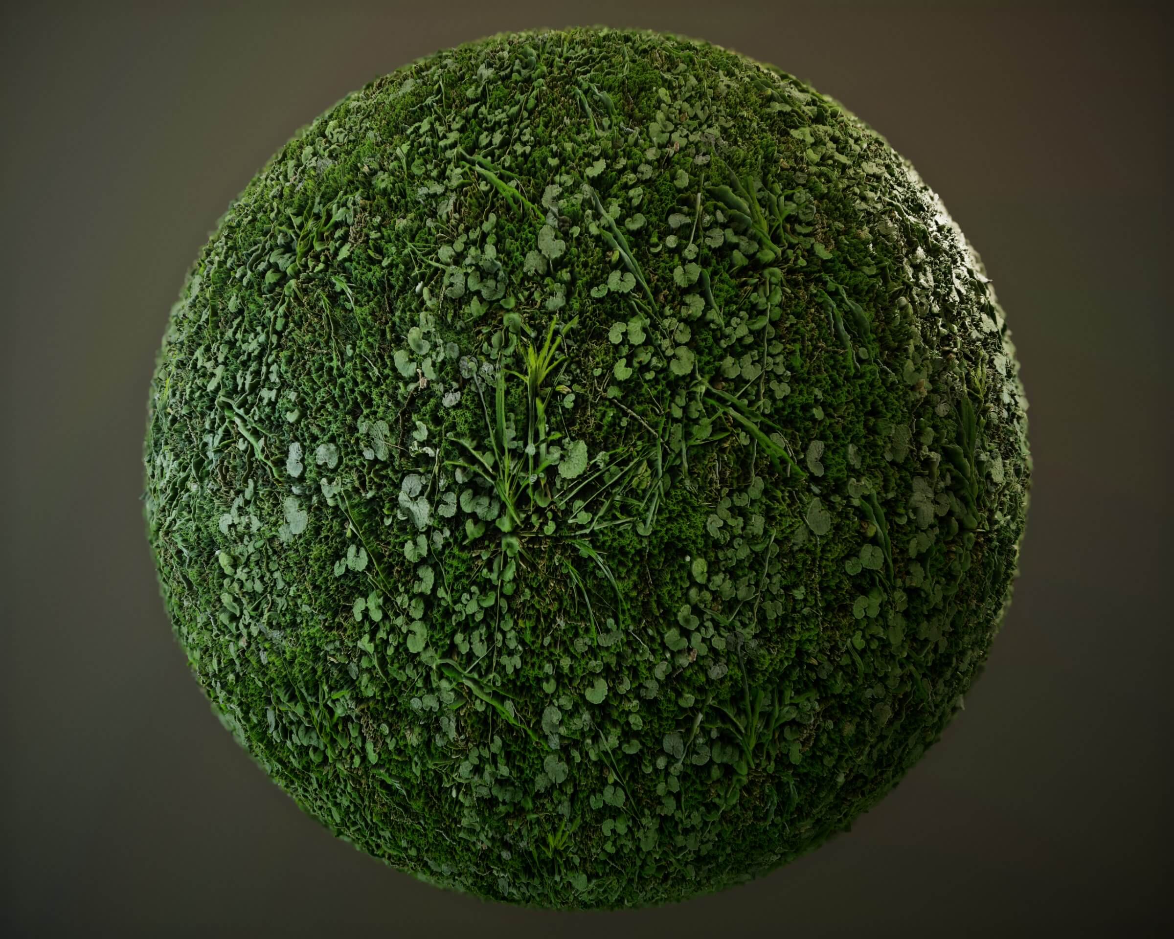 Seamless Grass Texture Map