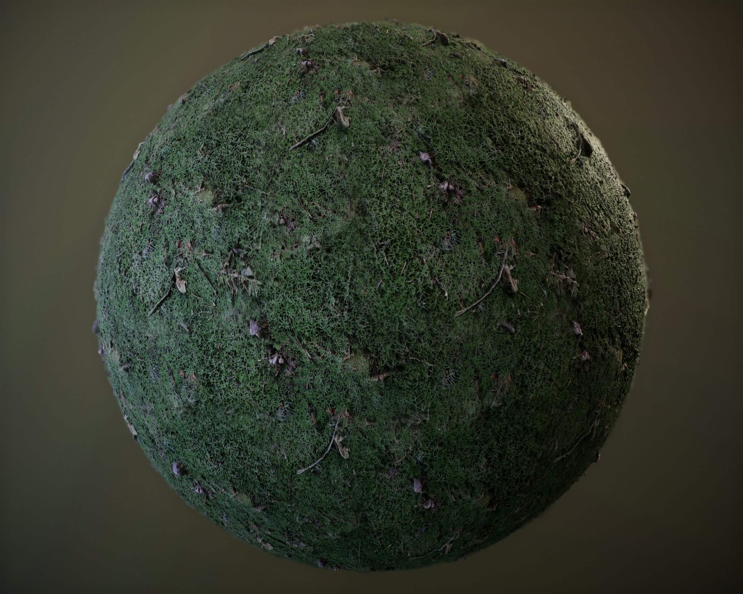 10 Seamless PBR Grass Textures - Free 3D Texture by SeTa
