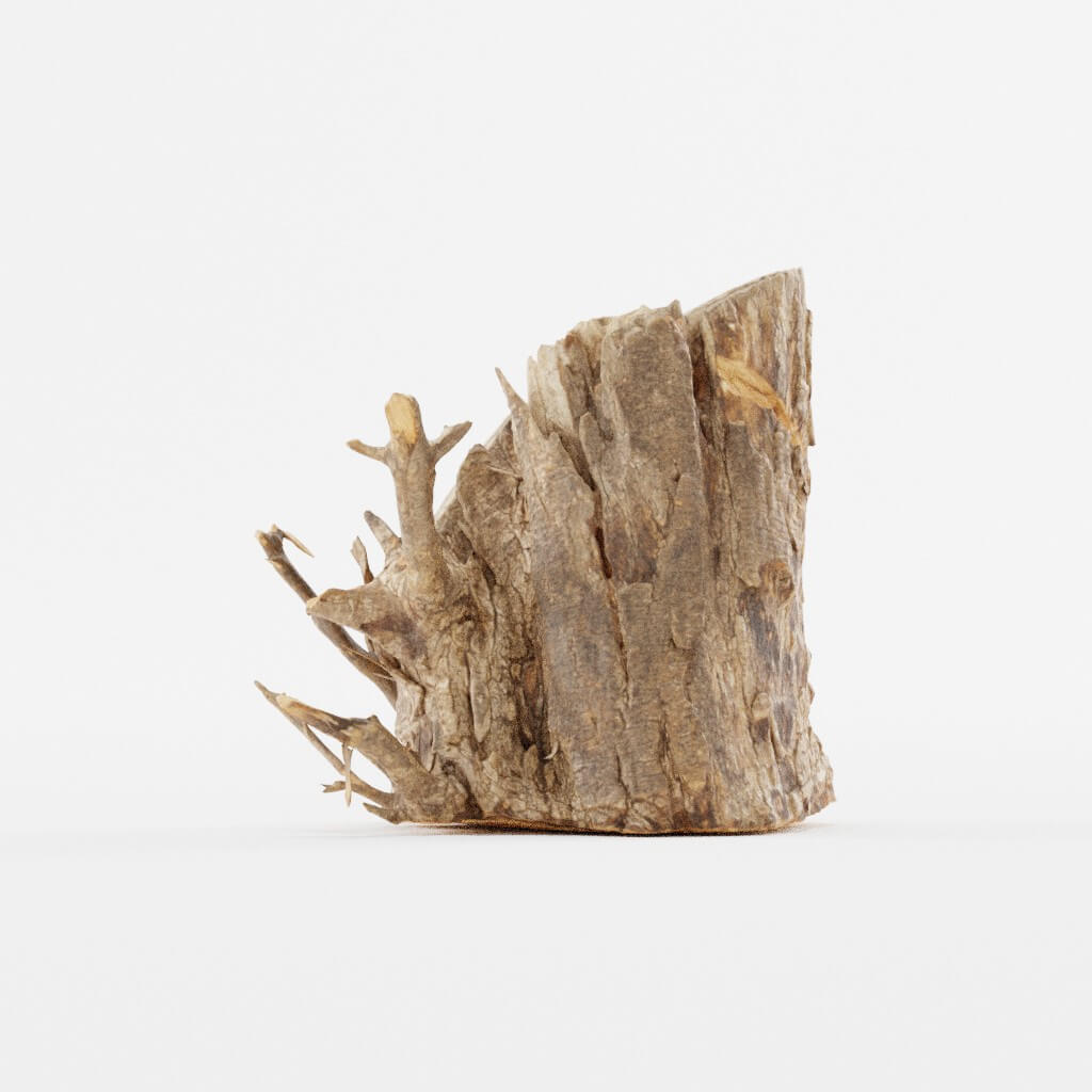 Photoscanned Wooden Logs by ShareTextures