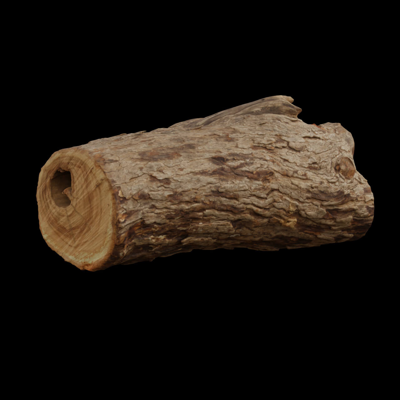 Wooden Log 3 - 3D Model by ShareTextures