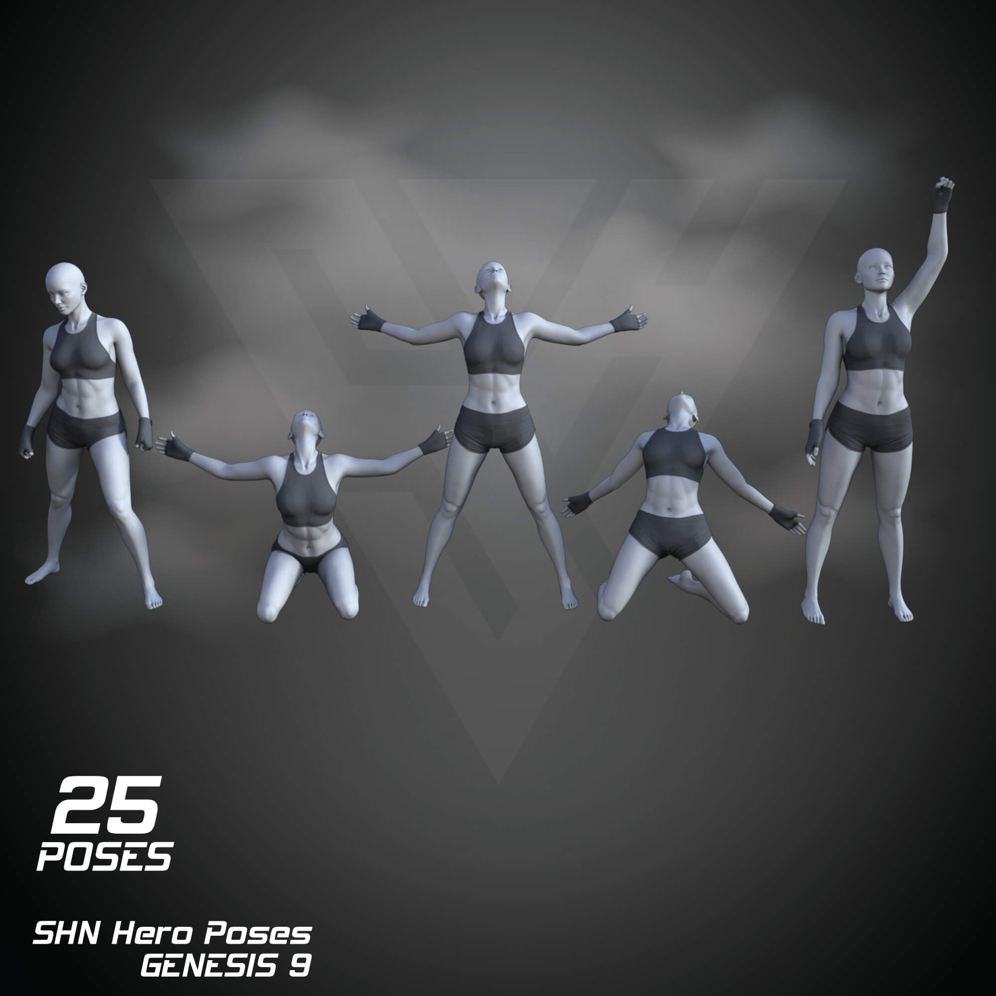 Shn Hero Poses For Genesis 9 Male and Female - Daz Content by shayanick