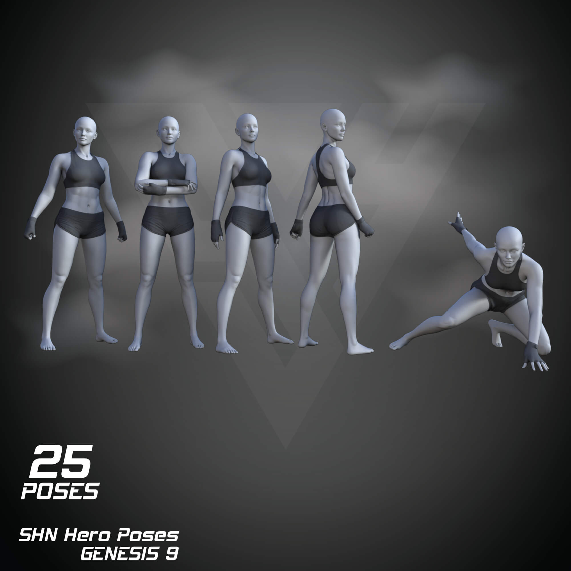 Shn Hero Poses For Genesis 9 Male and Female - Daz Content by shayanick