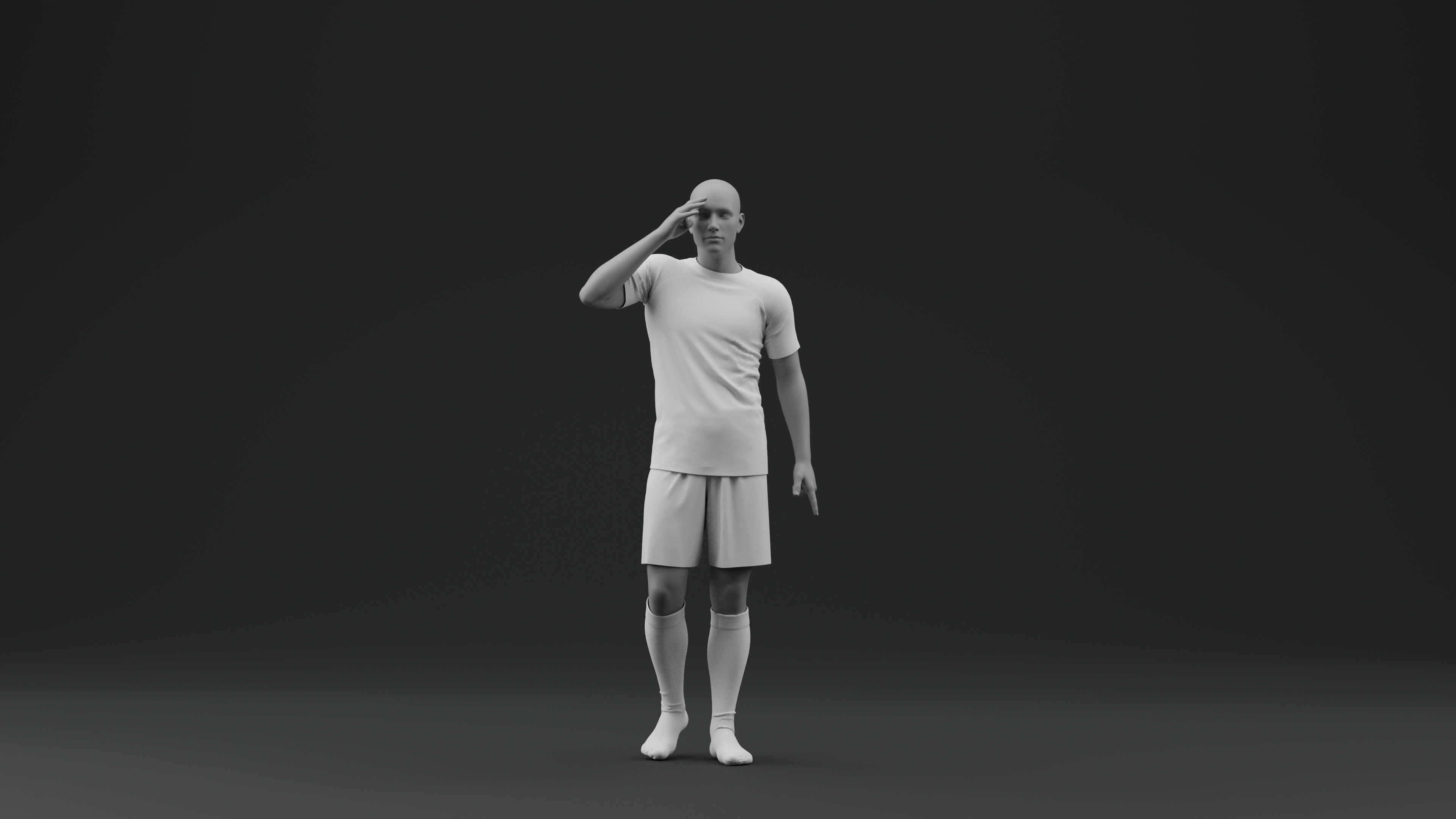Celebration Pose Salute - 3D Model by ShehataDesigns