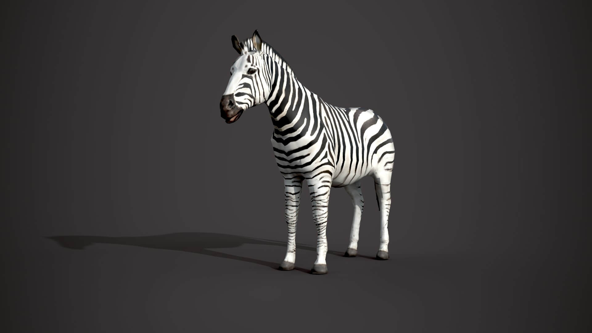 Zebra - 3D Model by sherazahmad