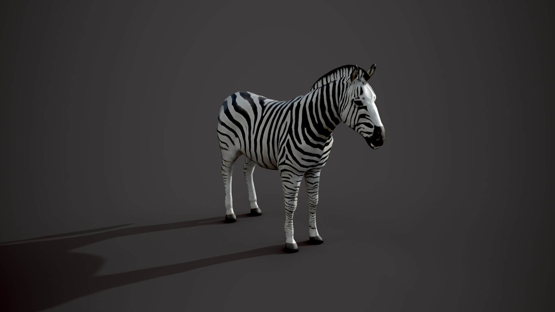 Zebra - 3D Model by sherazahmad