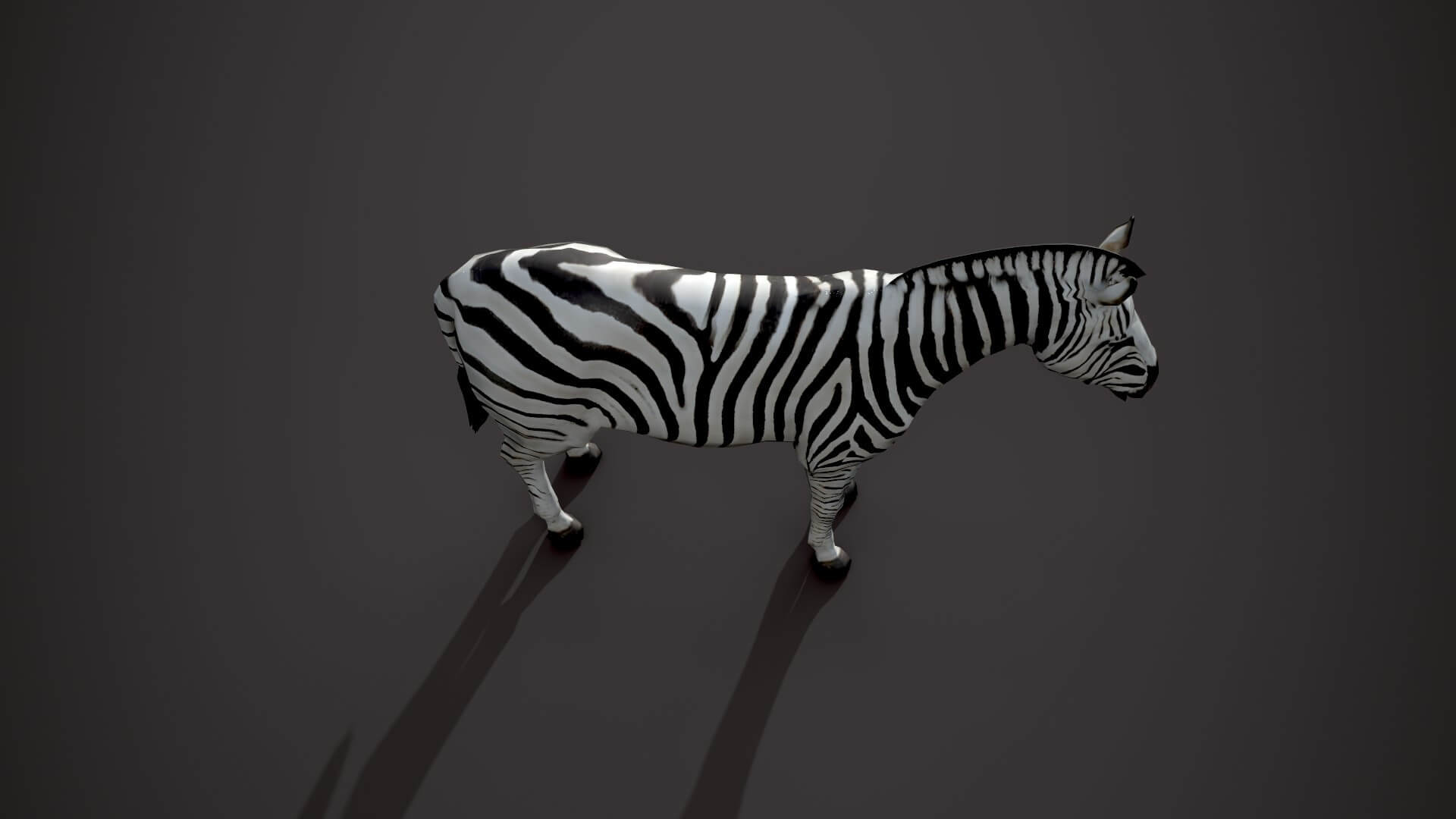 Zebra - 3D Model by sherazahmad