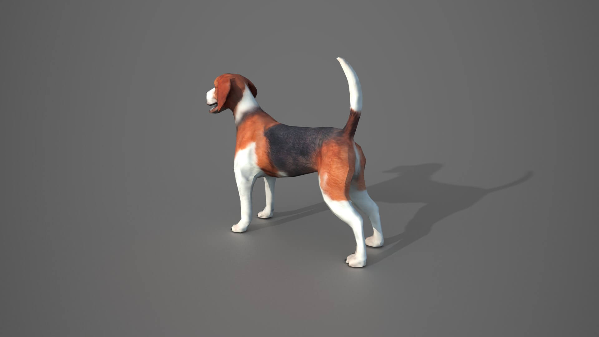 Beagle Dog - 3D Model by sherazahmad