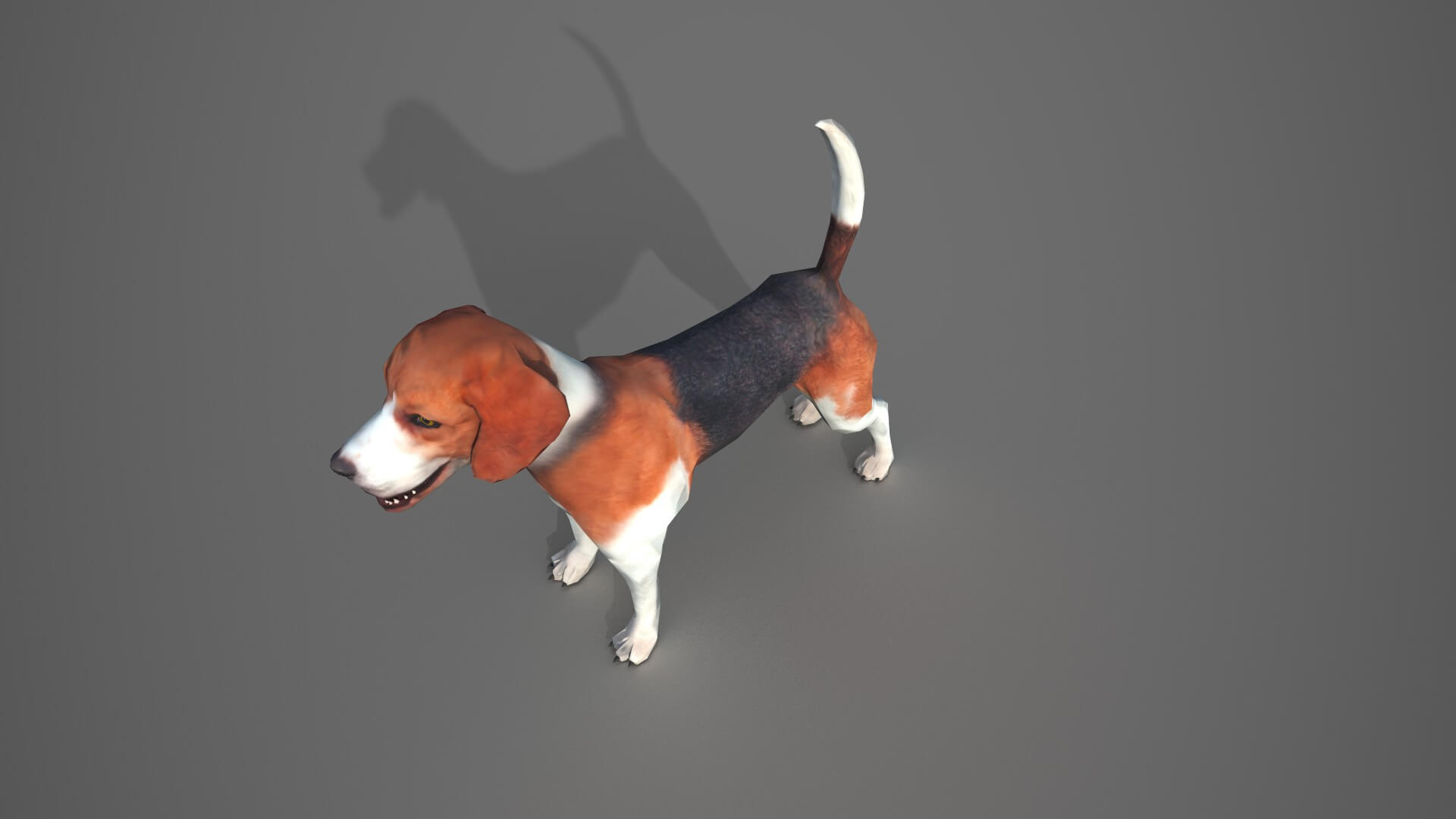 Beagle Dog - 3D Model by sherazahmad