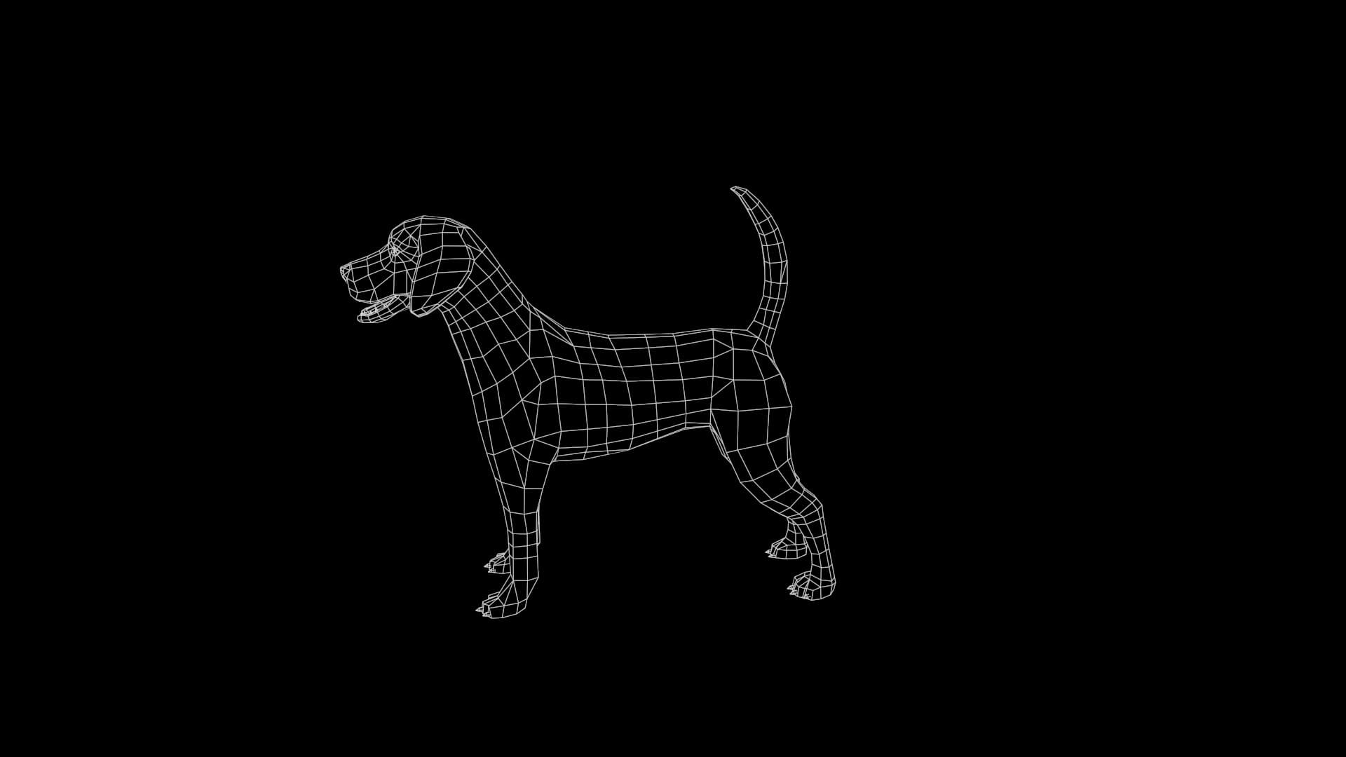 Beagle Dog - 3D Model by sherazahmad