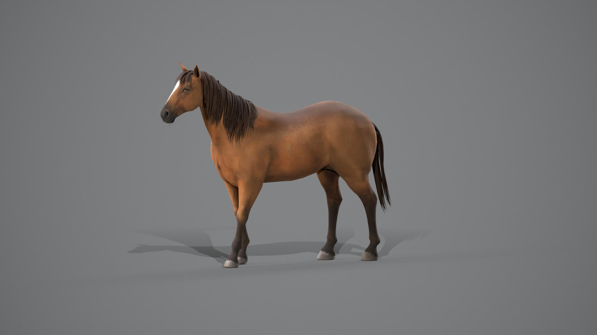 Brown Horse - 3D Model by sherazahmad