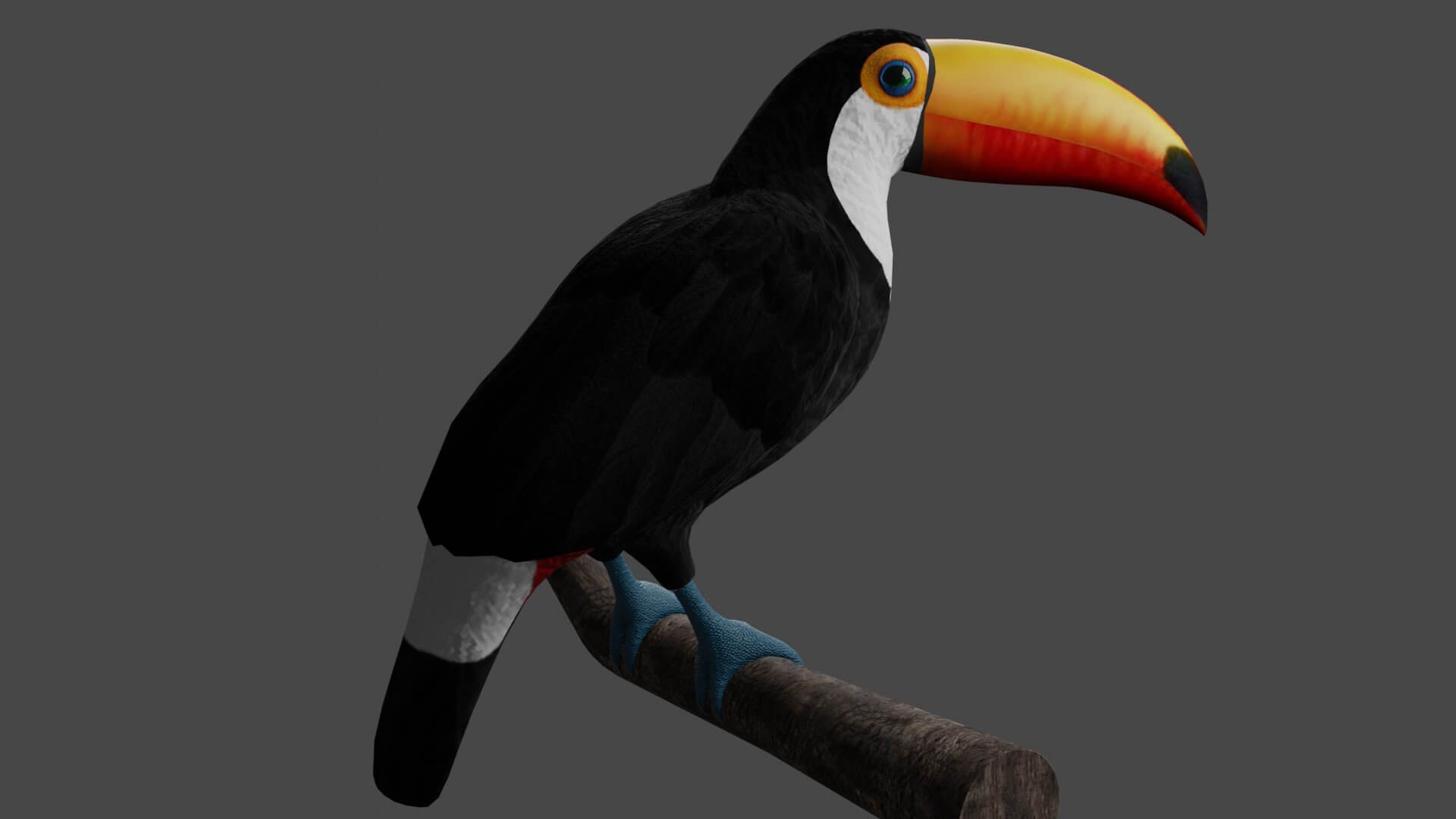 Toucan - 3D Model by ShigeruMiyamoto