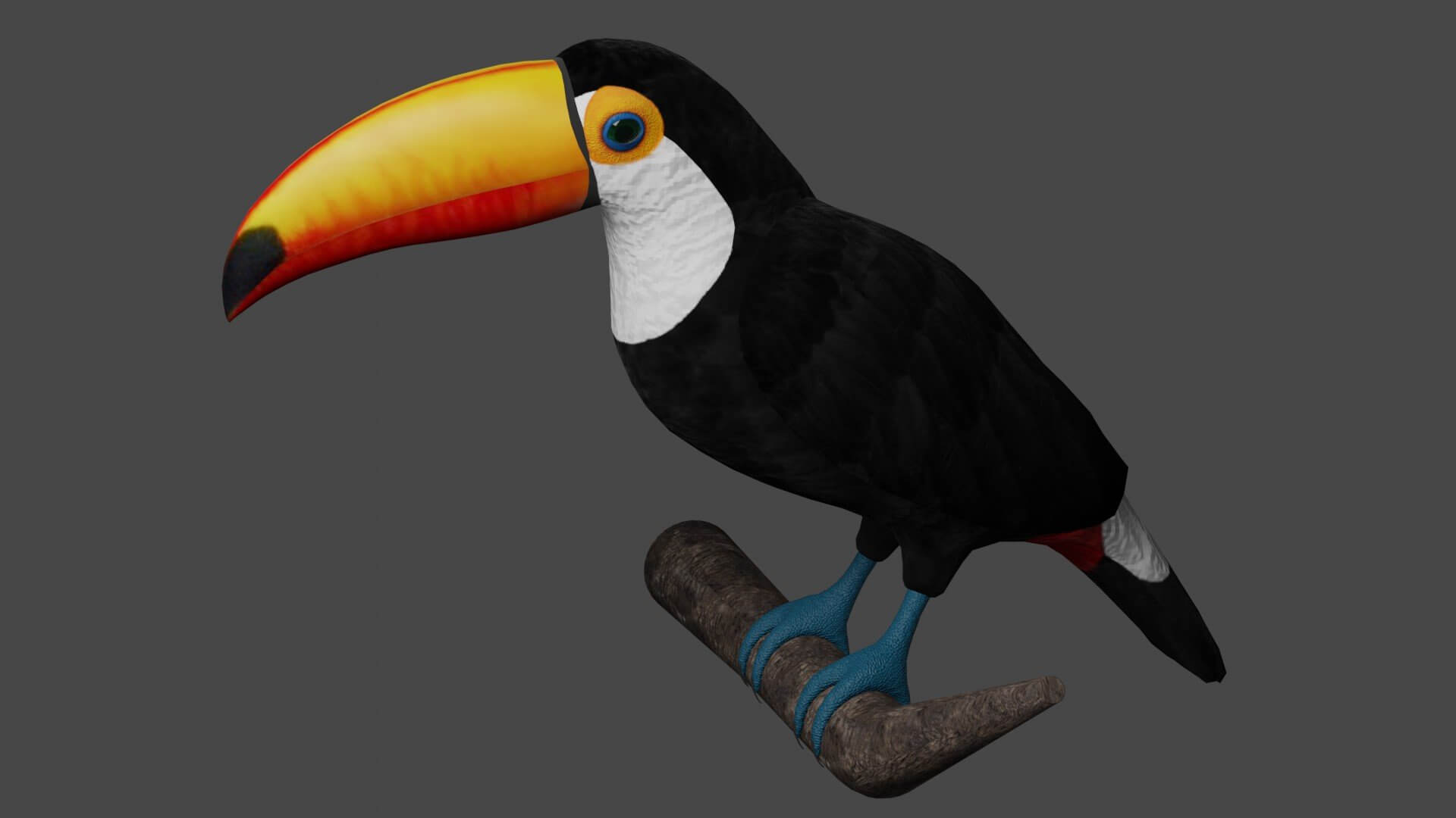 Toucan - 3D Model by ShigeruMiyamoto