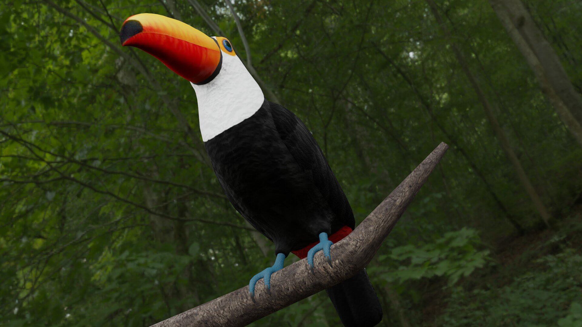 Toucan - 3D Model by ShigeruMiyamoto
