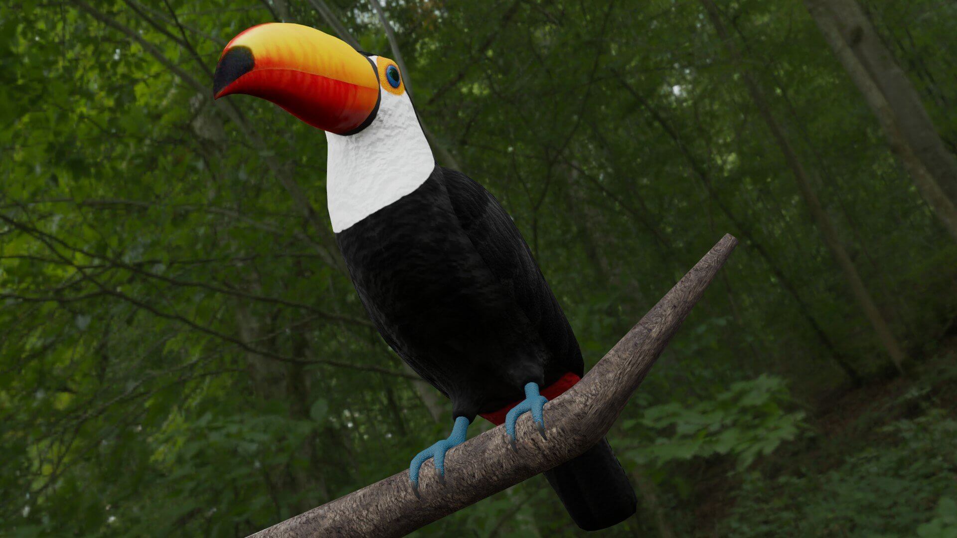 Toucan - 3D Model by ShigeruMiyamoto