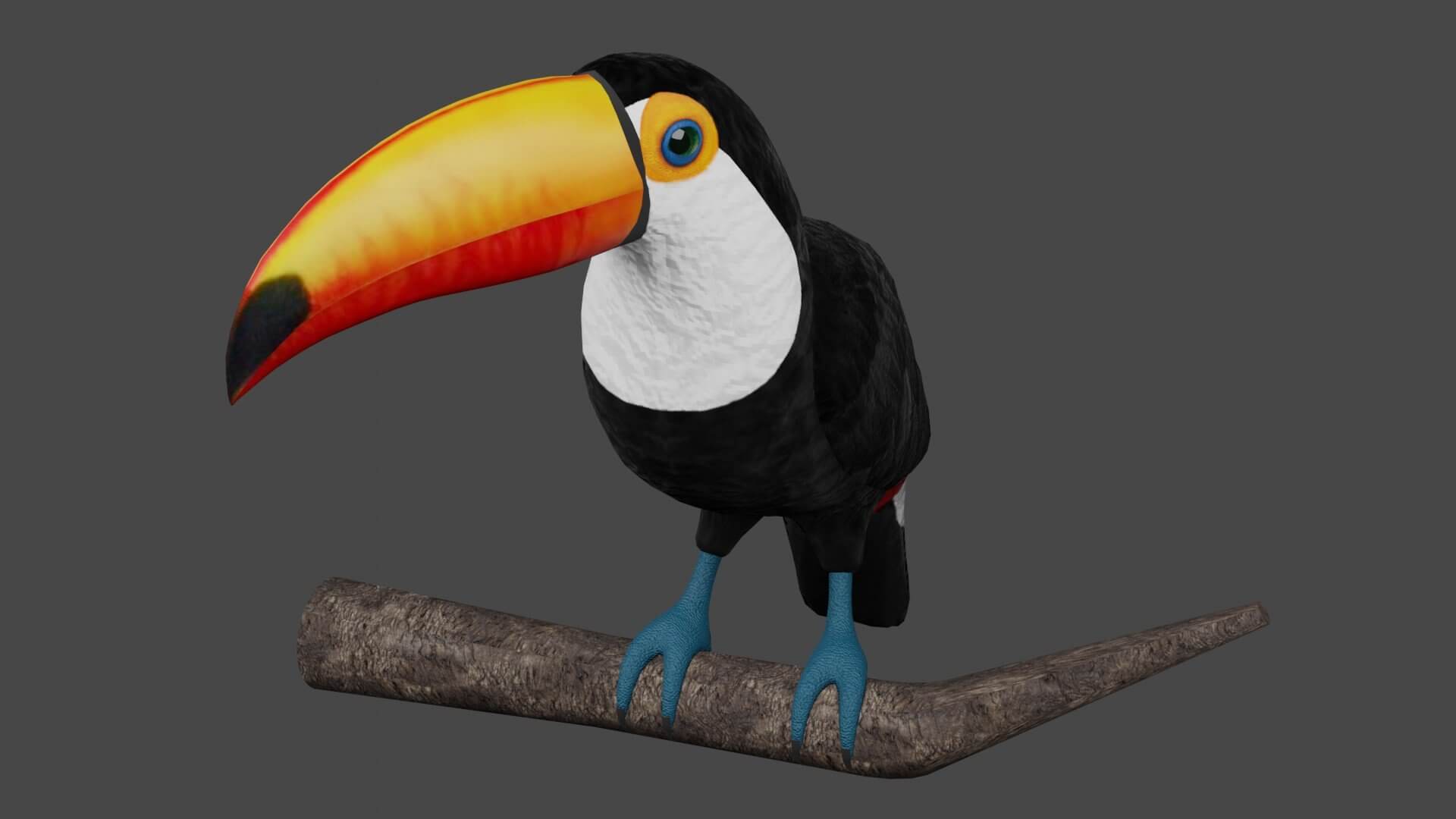 Toucan - 3D Model by ShigeruMiyamoto