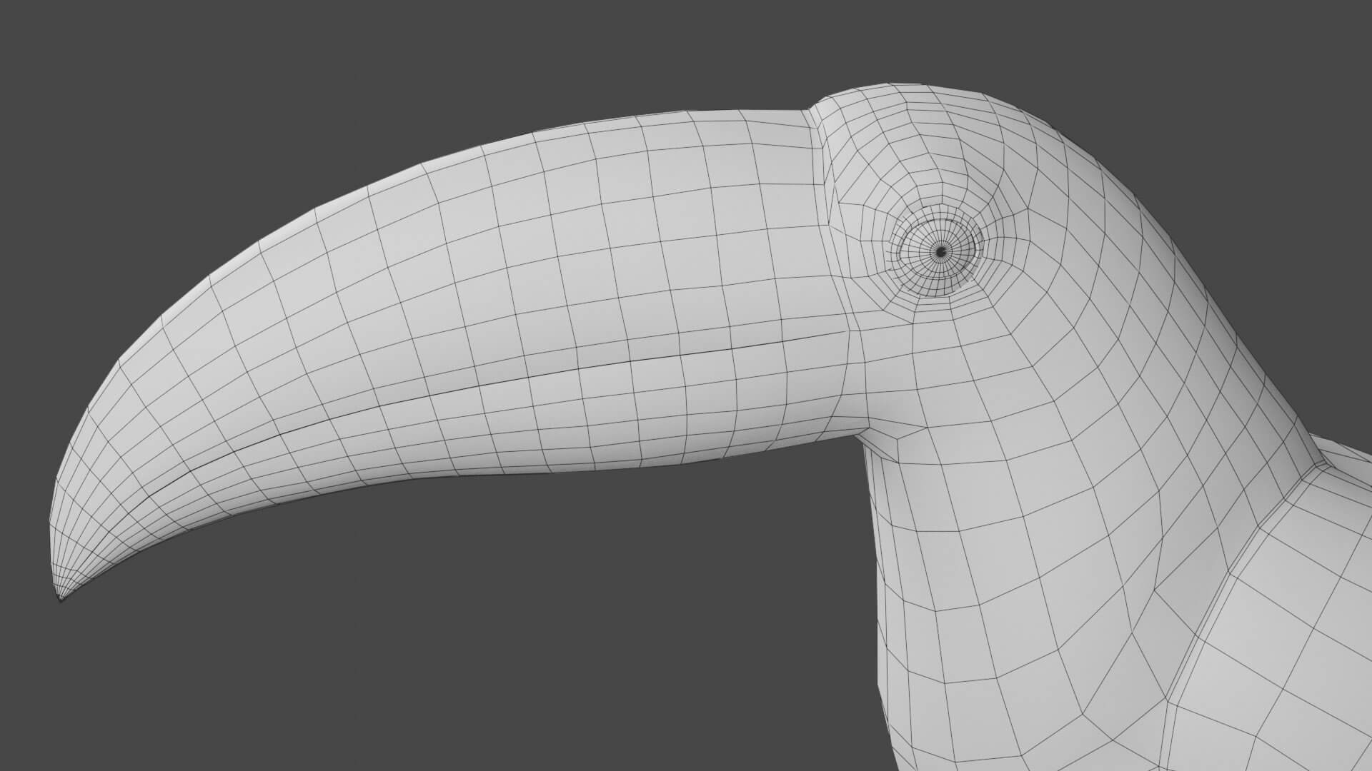 Toucan - 3D Model by ShigeruMiyamoto