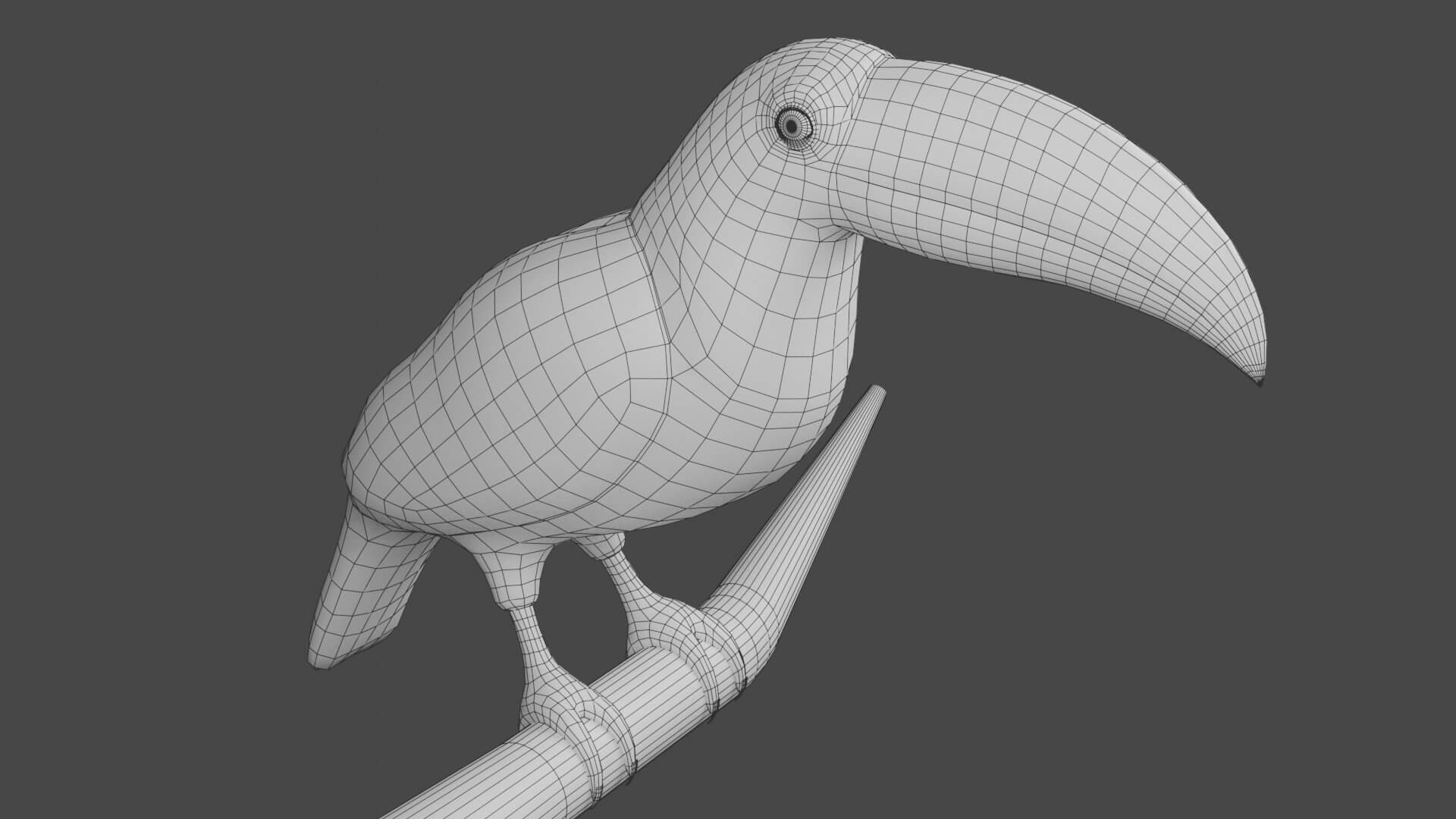 Toucan - 3D Model by ShigeruMiyamoto