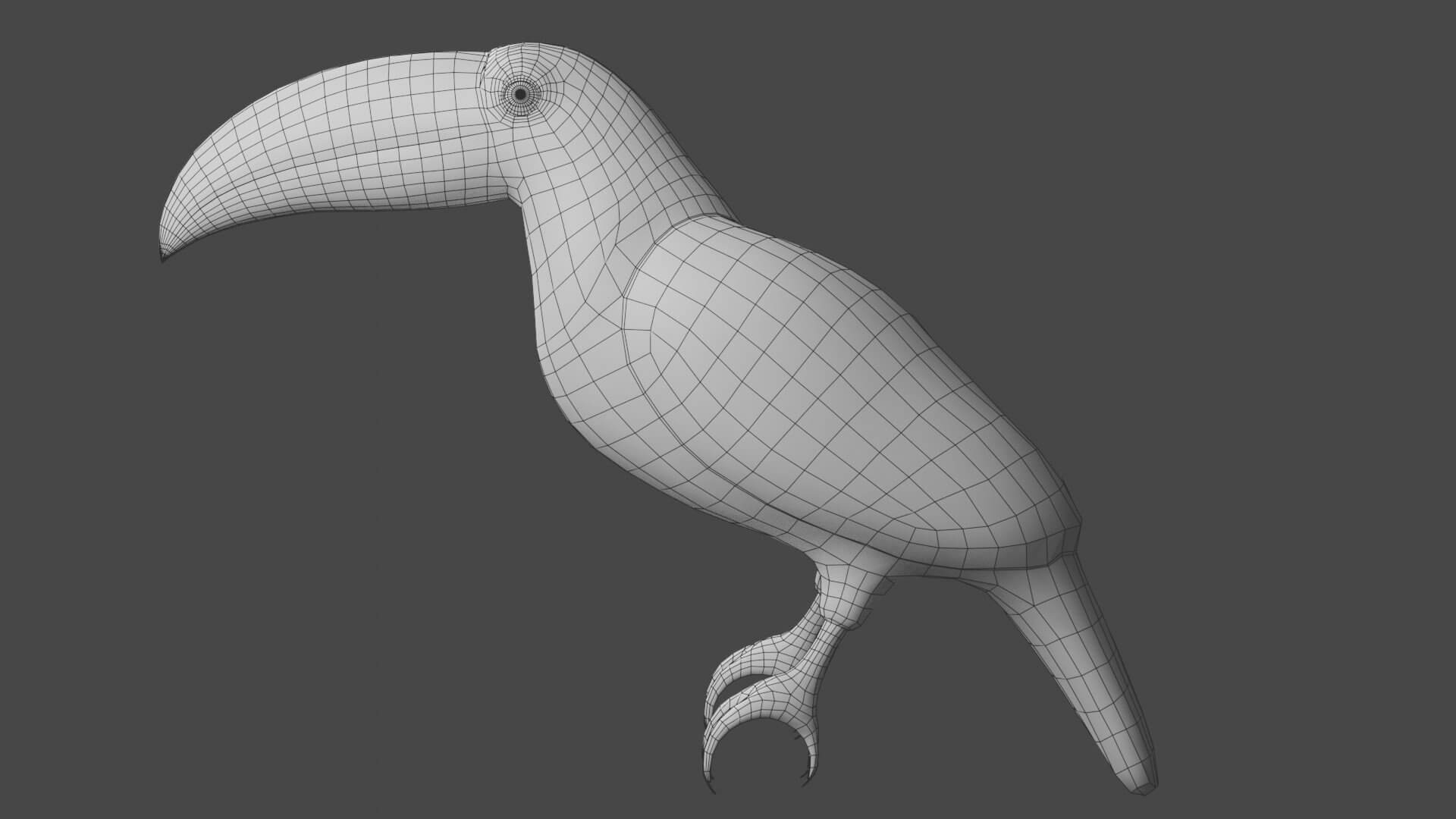 Toucan - 3D Model by ShigeruMiyamoto