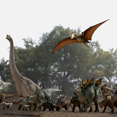 25 Dinosaur Model Collection by Shredder