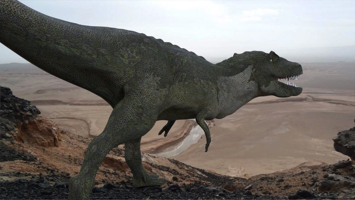 Allosaurus Male and Female - Free 3D Model by Shredder