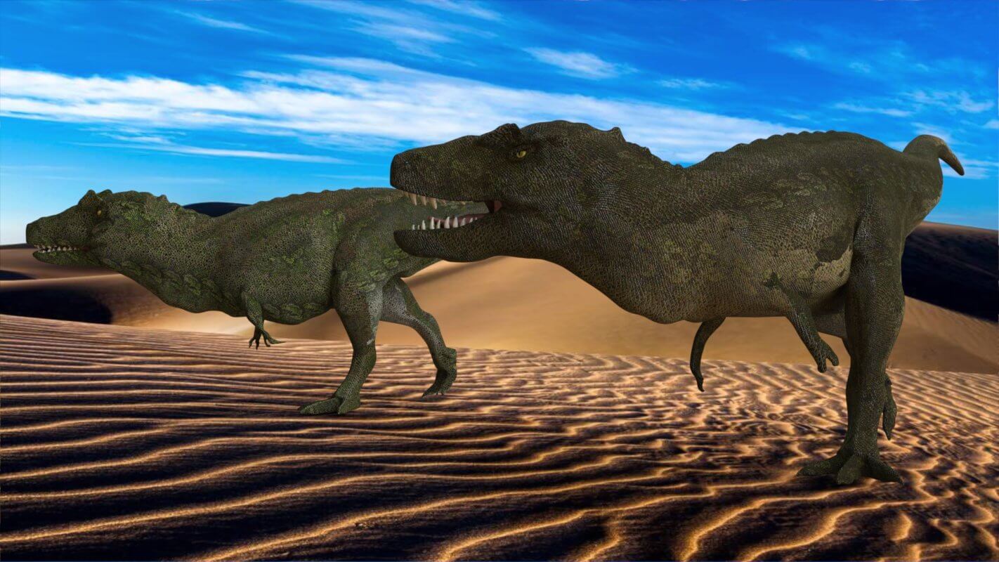 Allosaurus Male and Female - Free 3D Model by Shredder