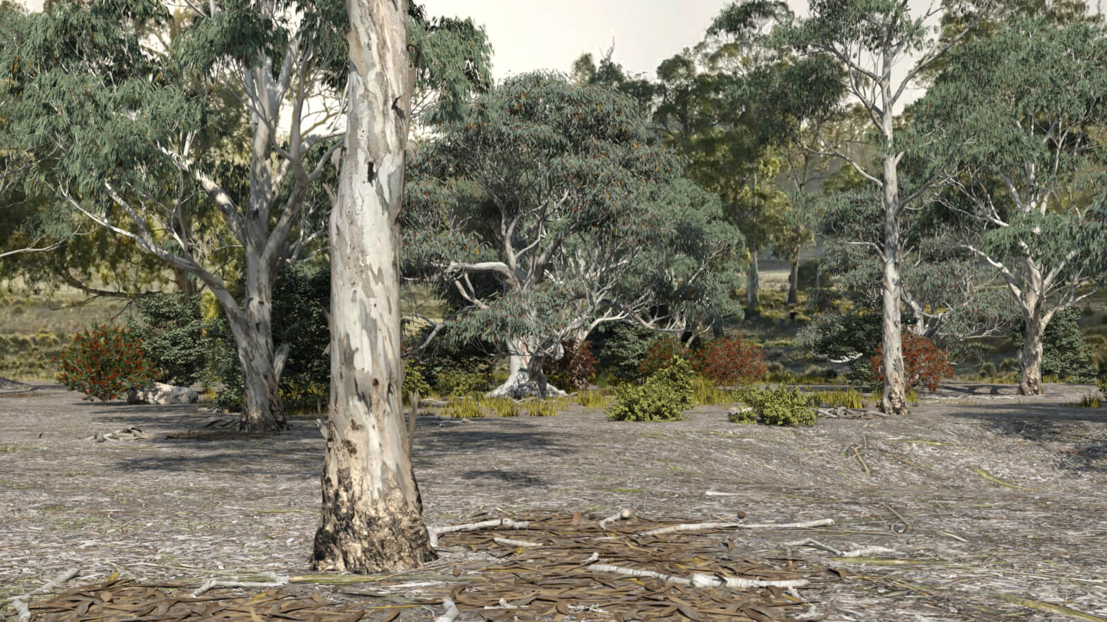 Australian Bushland for DAZ by Shredder