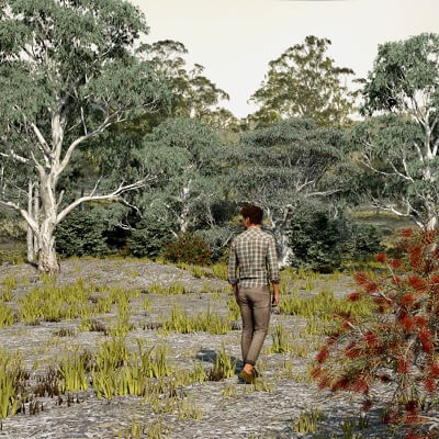 Daz Content | Landscape | Forest | RenderHub