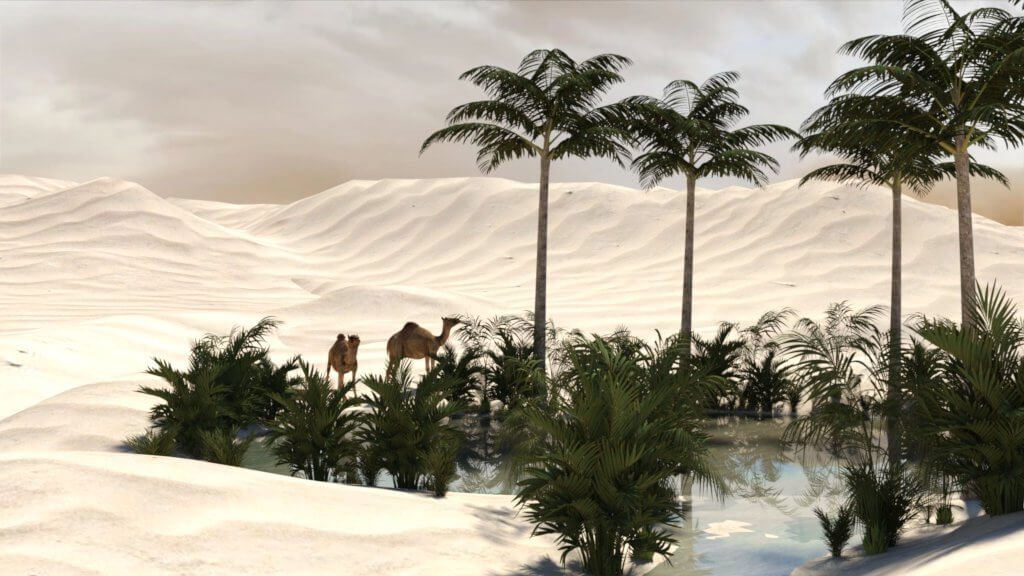 Desert Oasis Model