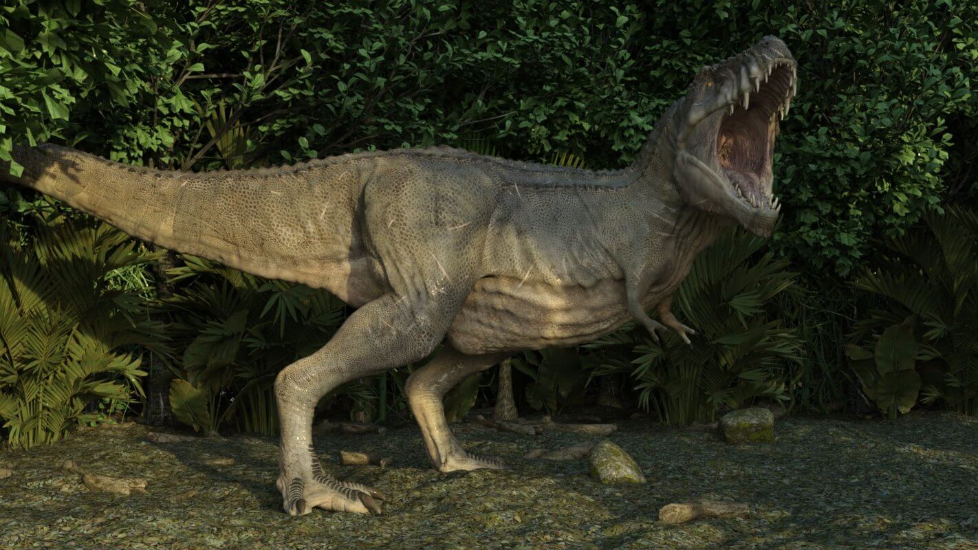 Jungle Props - Free 3D Model by Shredder