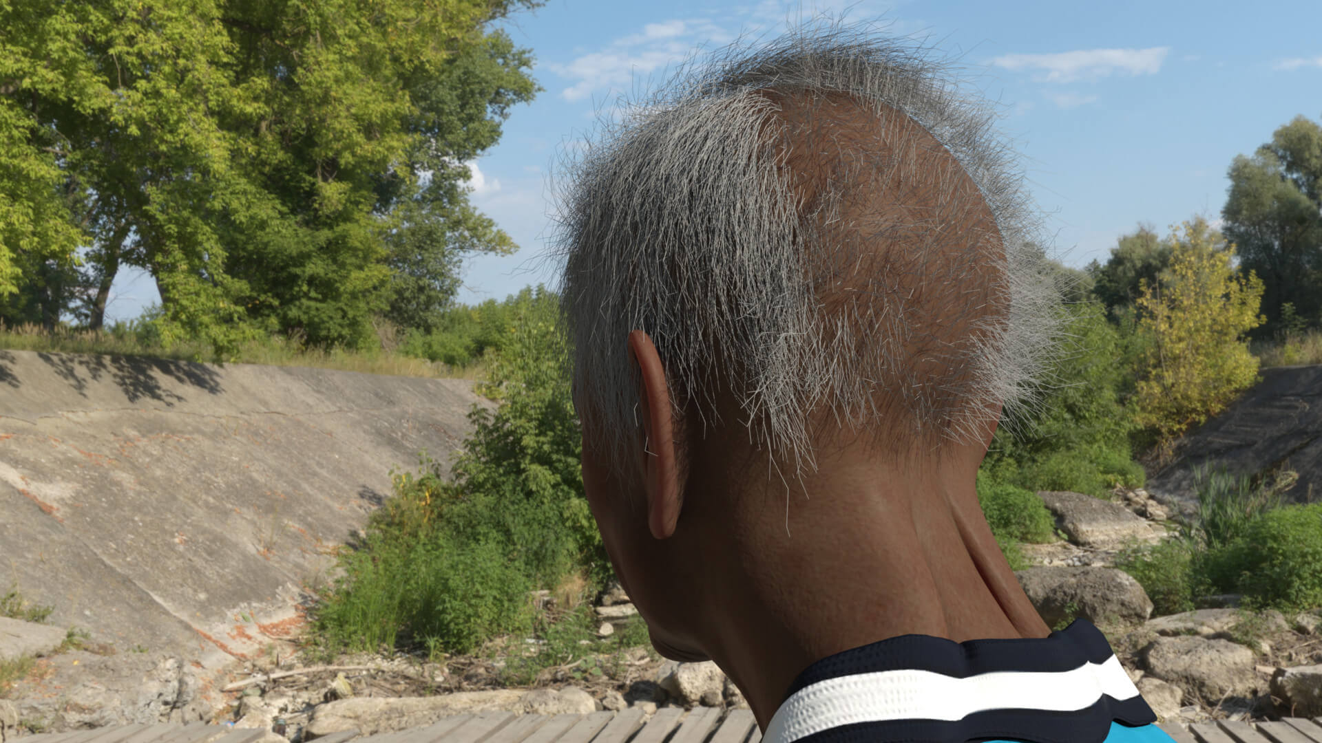 Old Man Strand Based Hair for Genesis 8 Male - Free Daz Content by Shredder